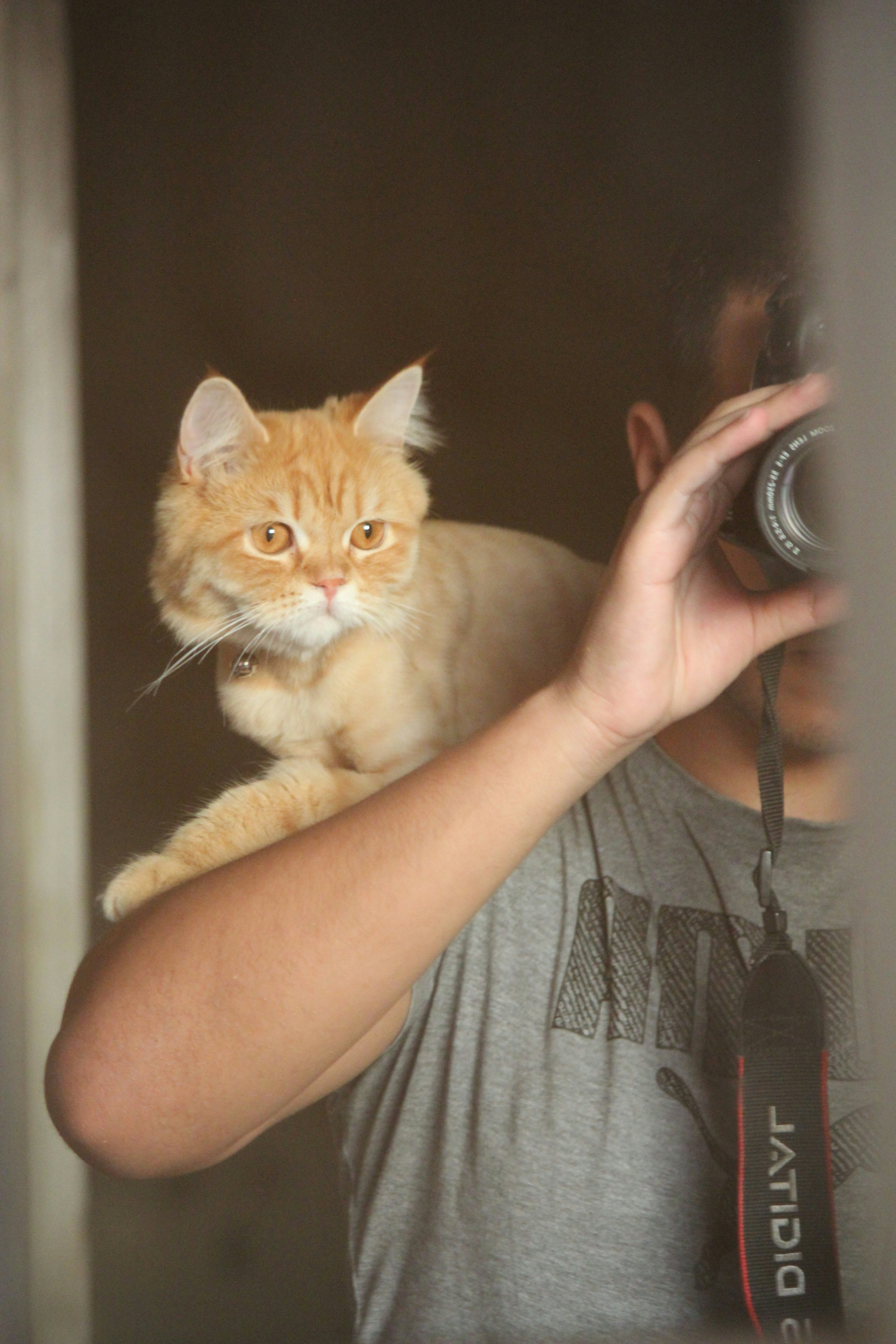 Self-portrait with a whiskered observer perched on the photographer's shoulder