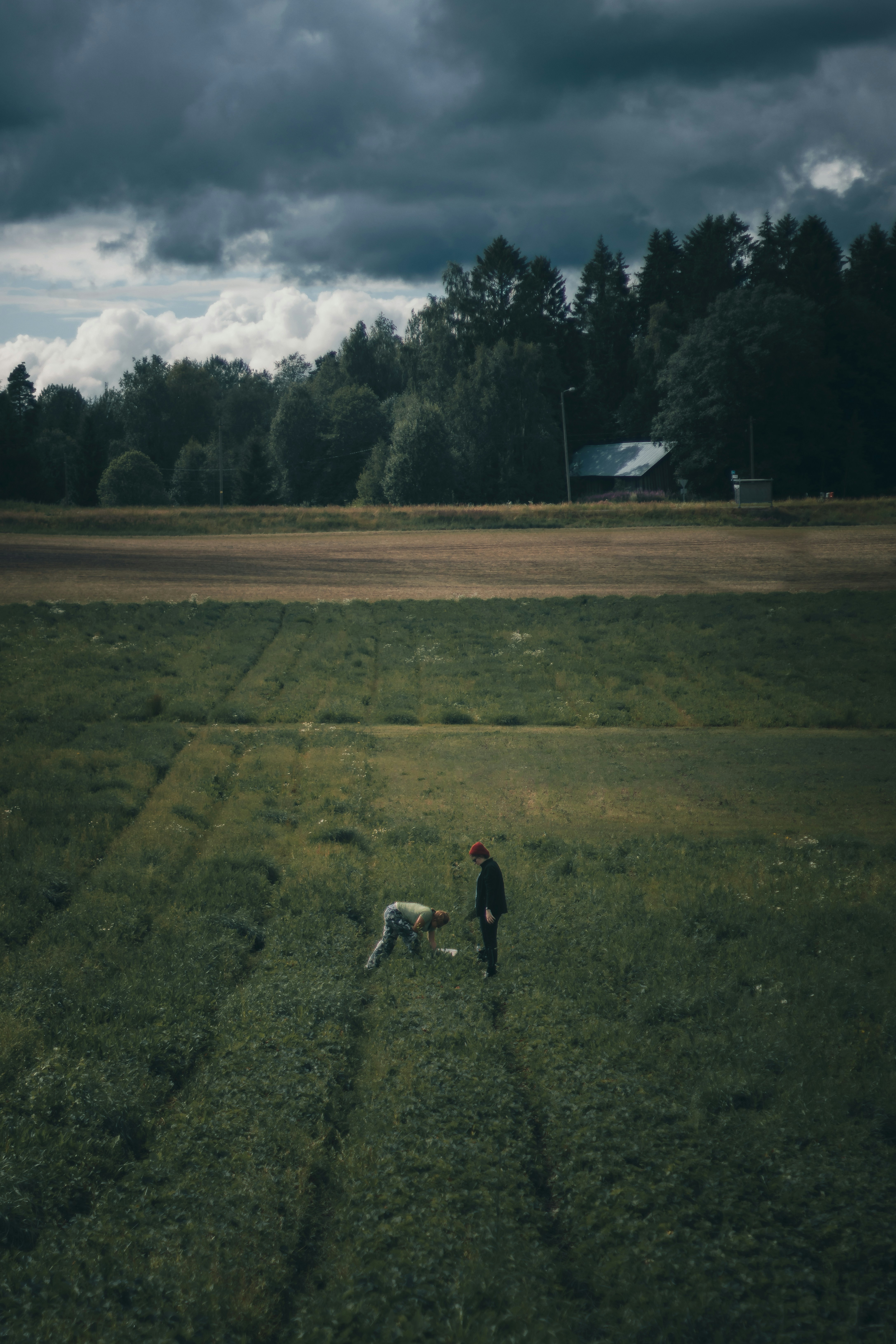 Fieldwork at the Edge of a Stormy Horizon