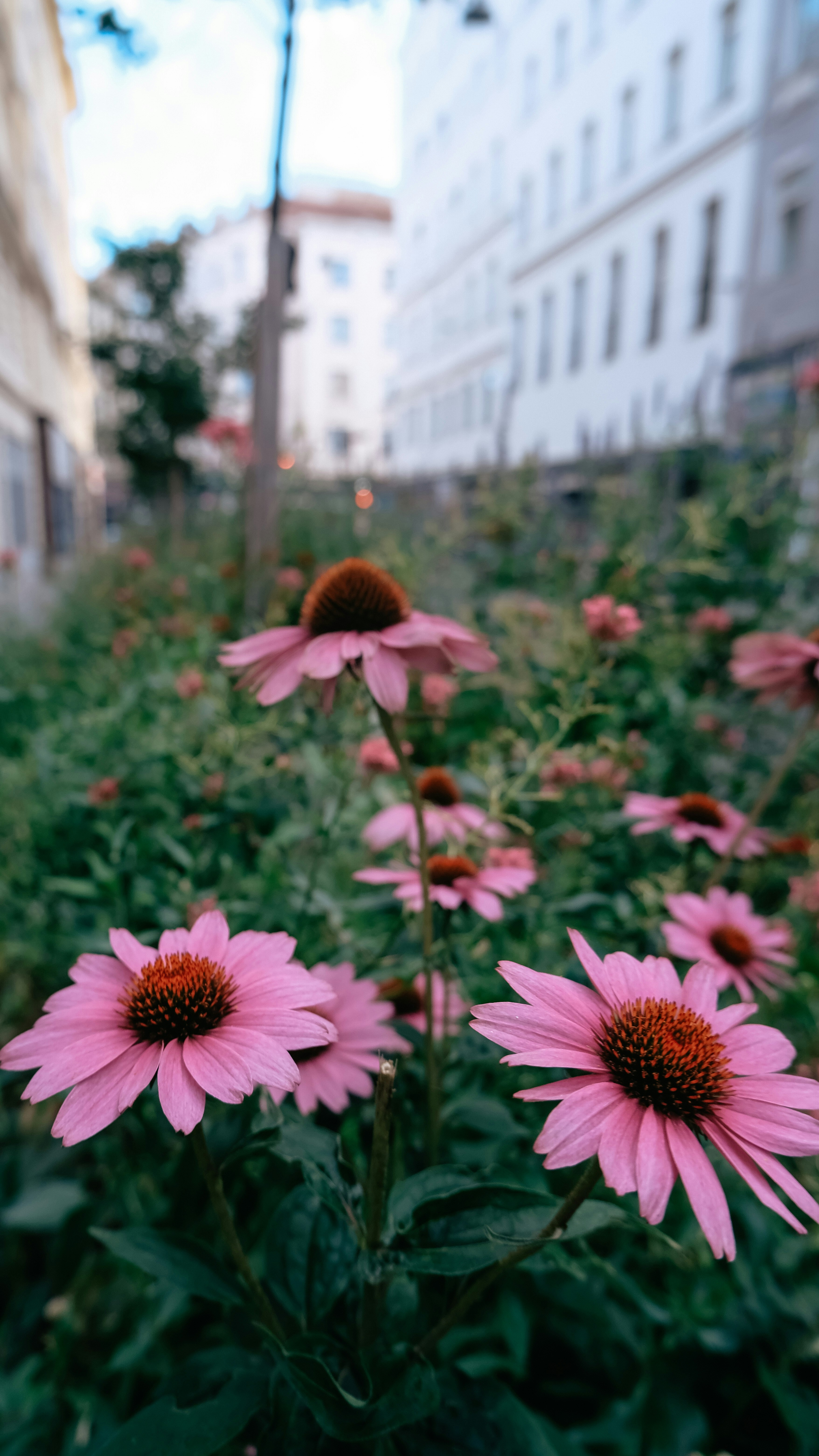 If you like my work and would like to support me, you can buy me a coffee: buymeacoffee.com/rwvpv9qt750 .