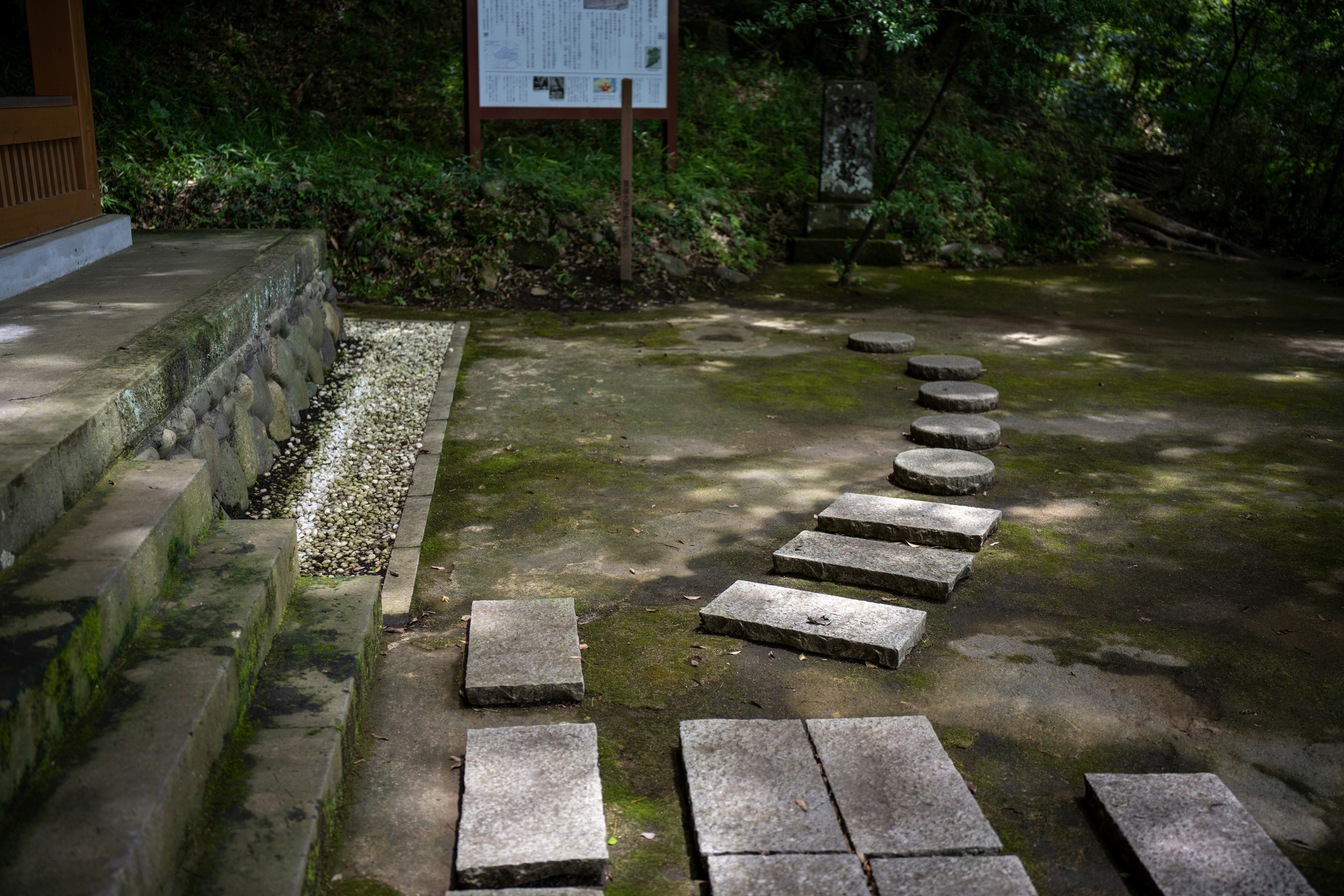 Mossbound Steps: A Subtle Path to the Shaded Shrine