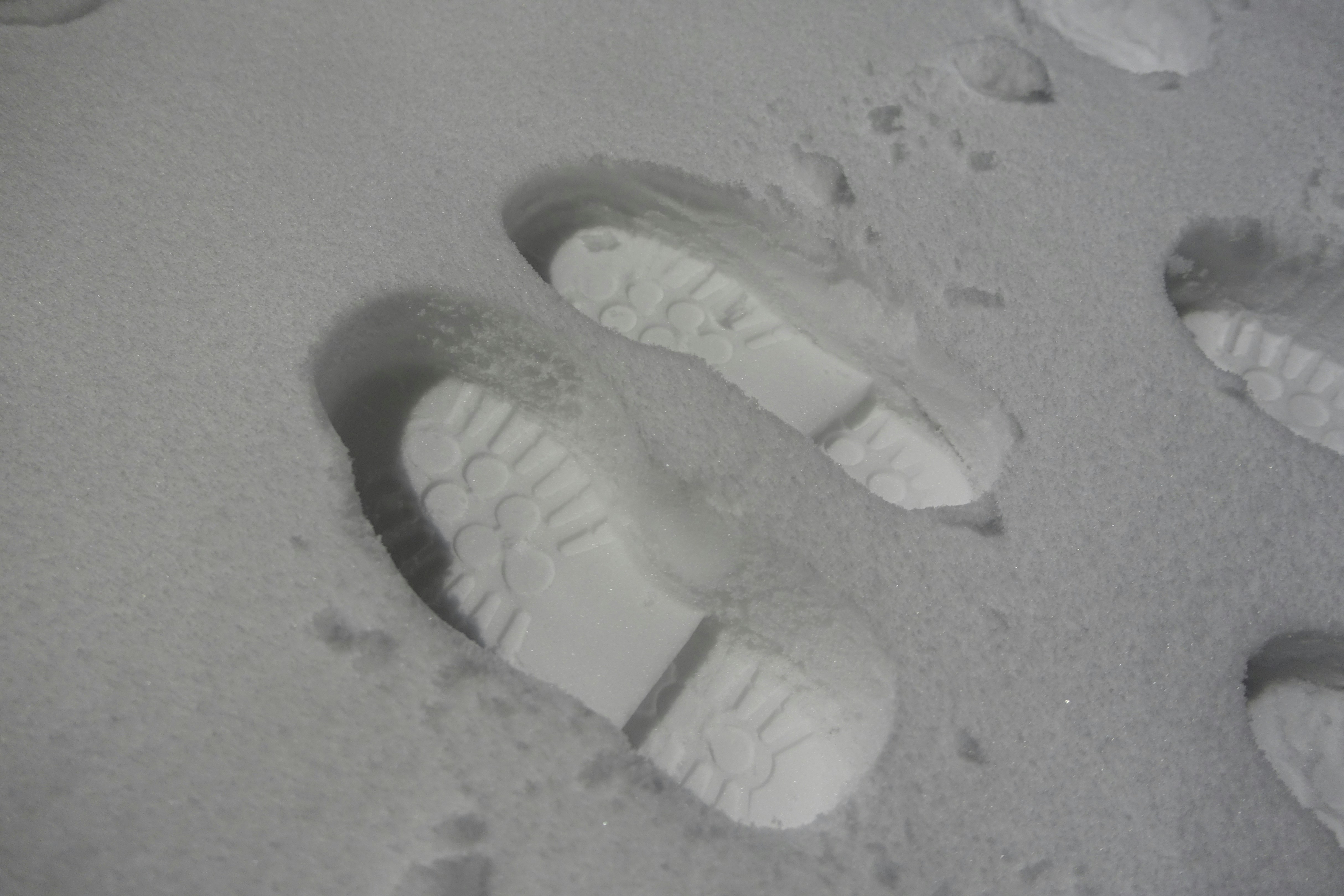 Footprint Mosaic on Wind-Swept Sand