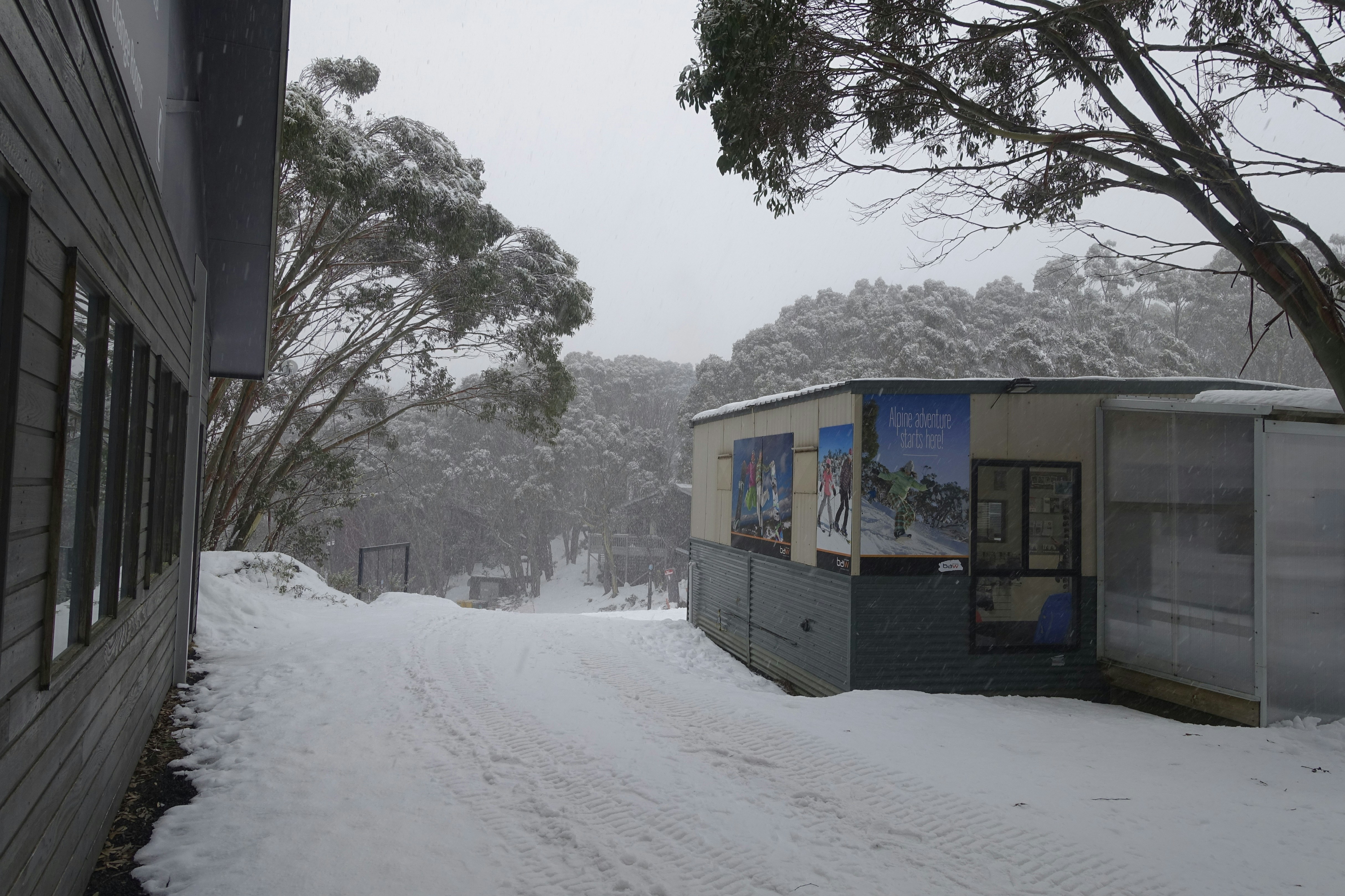 Photo by Max Smith with Sony RX100 III