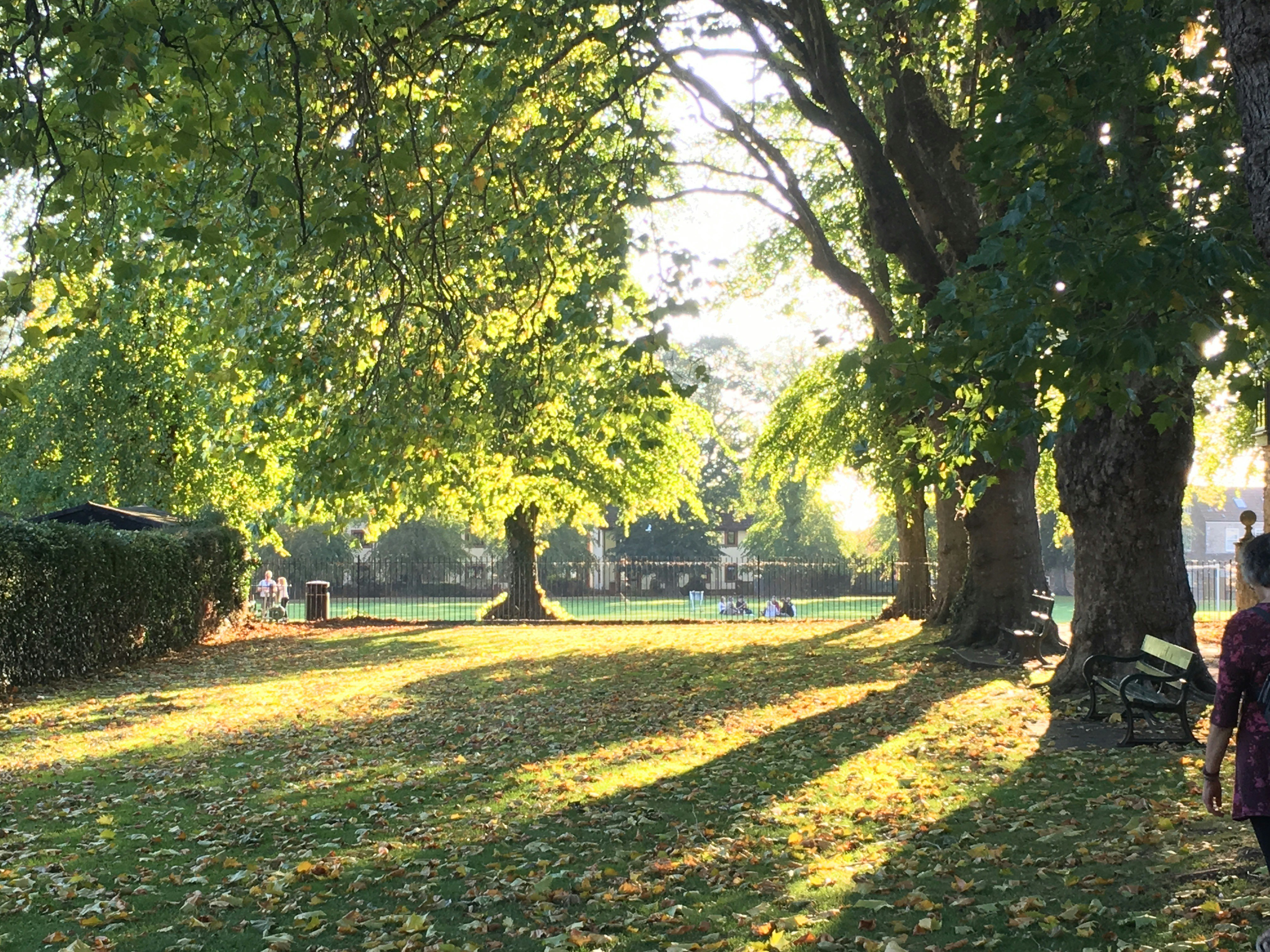 A park with trees and benches photo – Free Wells recreation ground ...