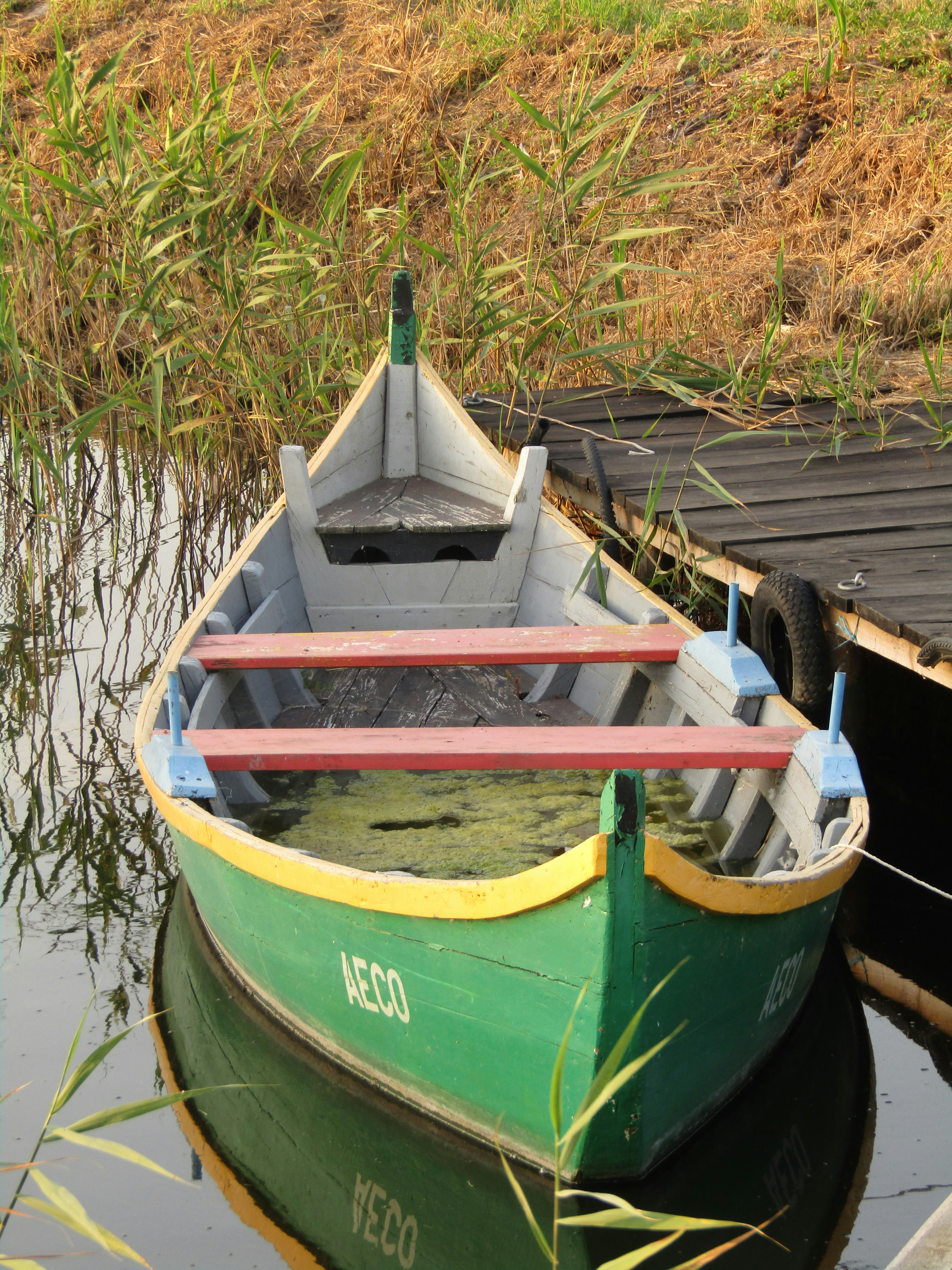 Photo by Anna Shevchenko with Canon PowerShot SX430 IS