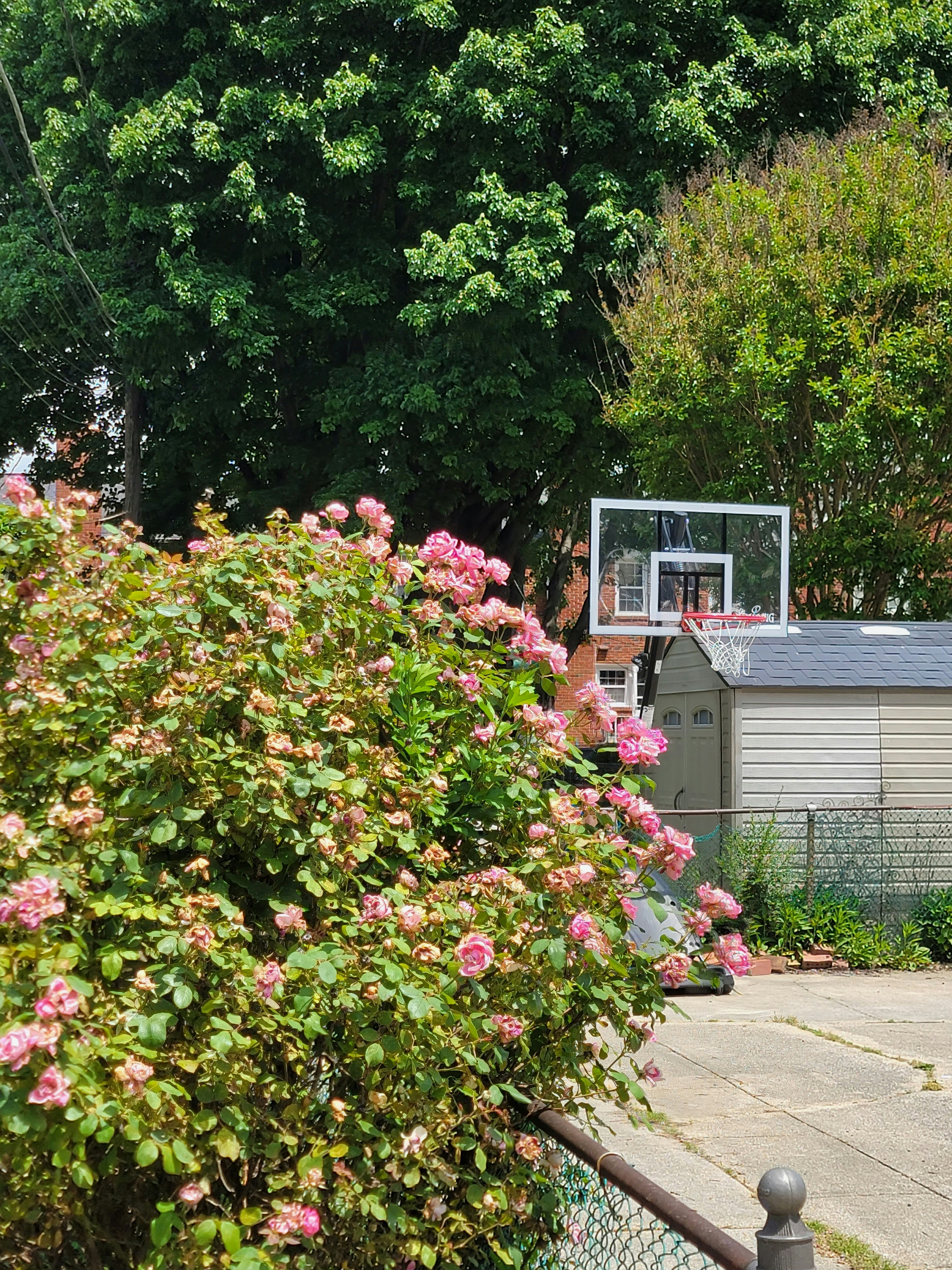 a small house with a garden in front of it
