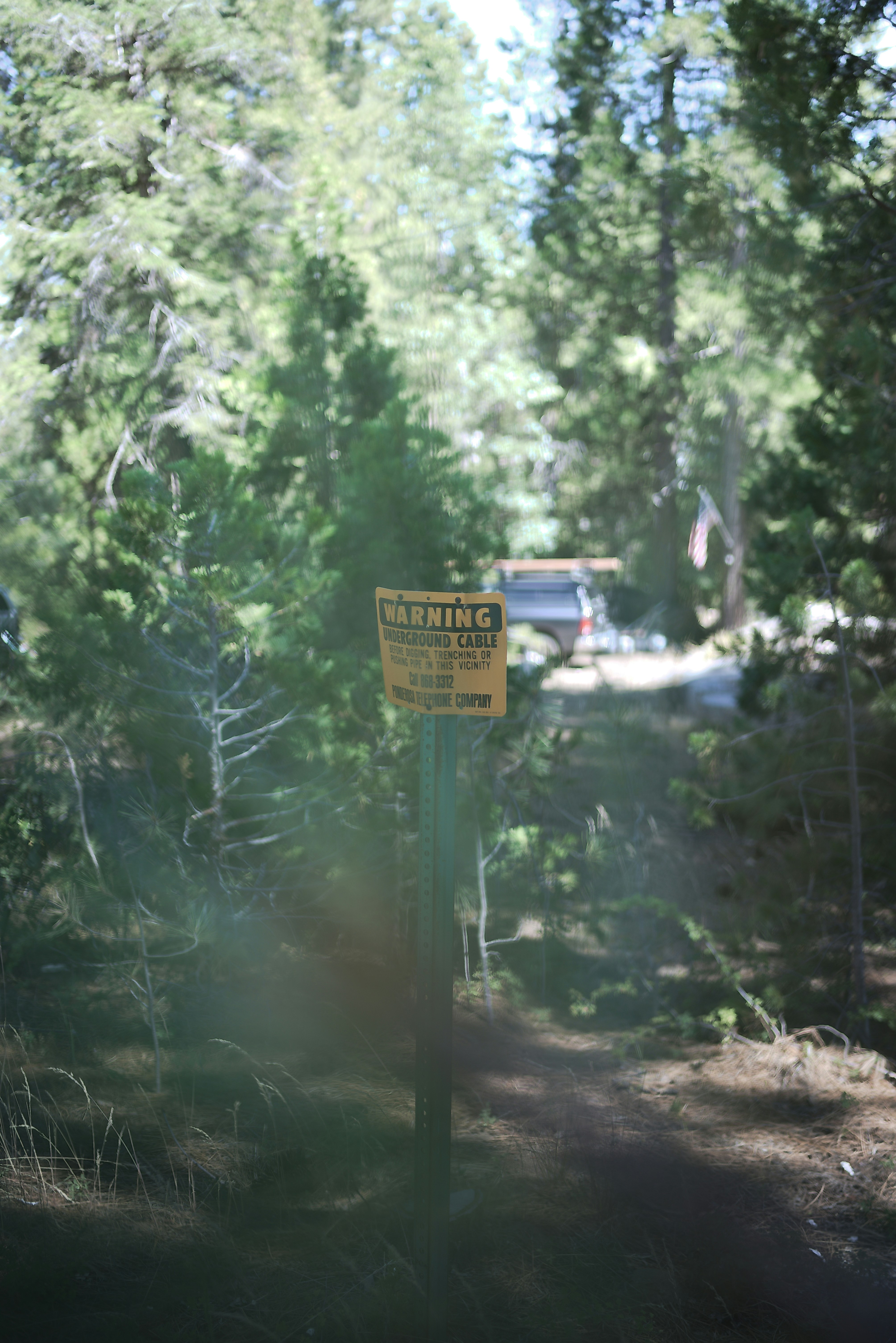 a sign in the woods