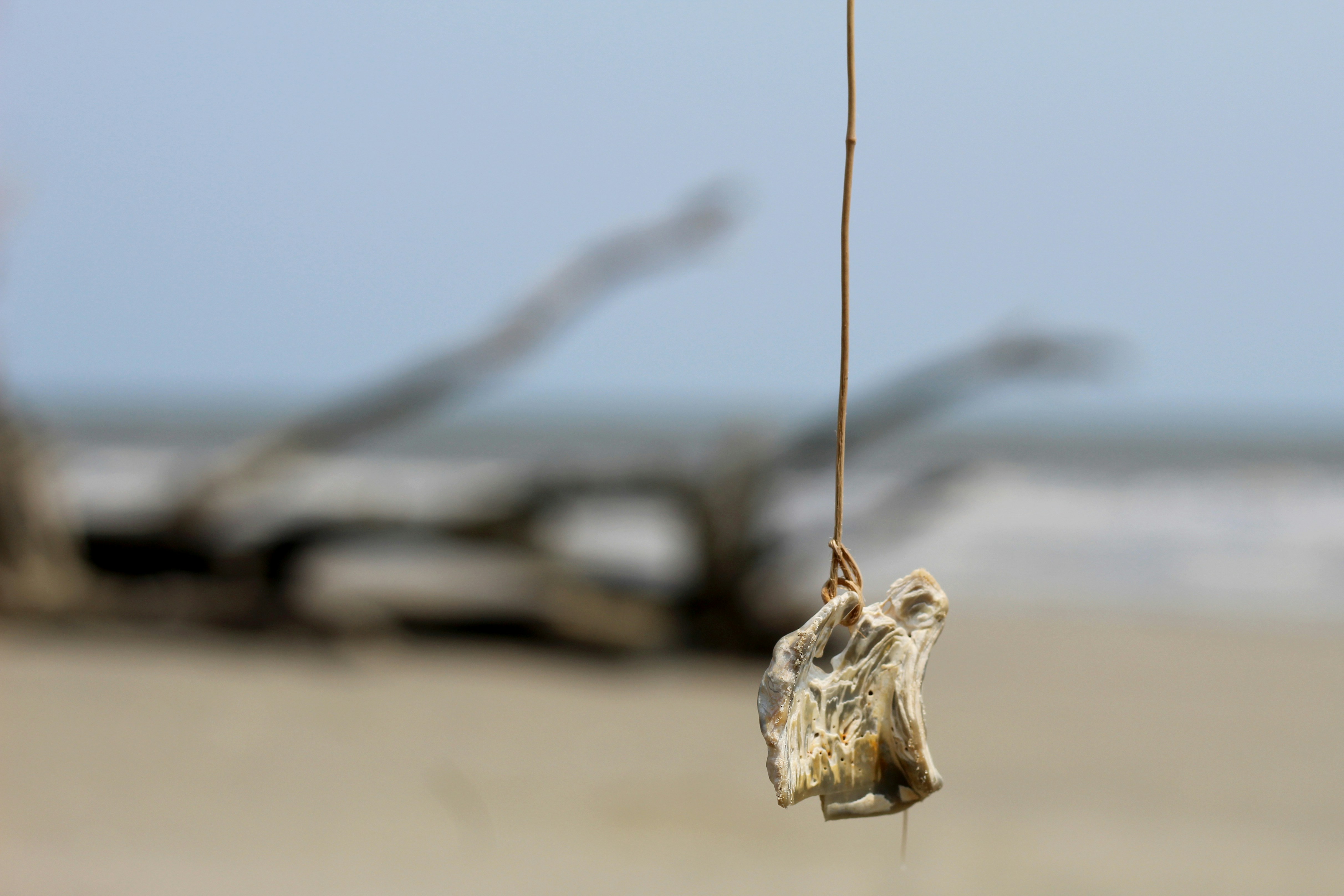Sea-Shell String: a Quiet Beach Moment