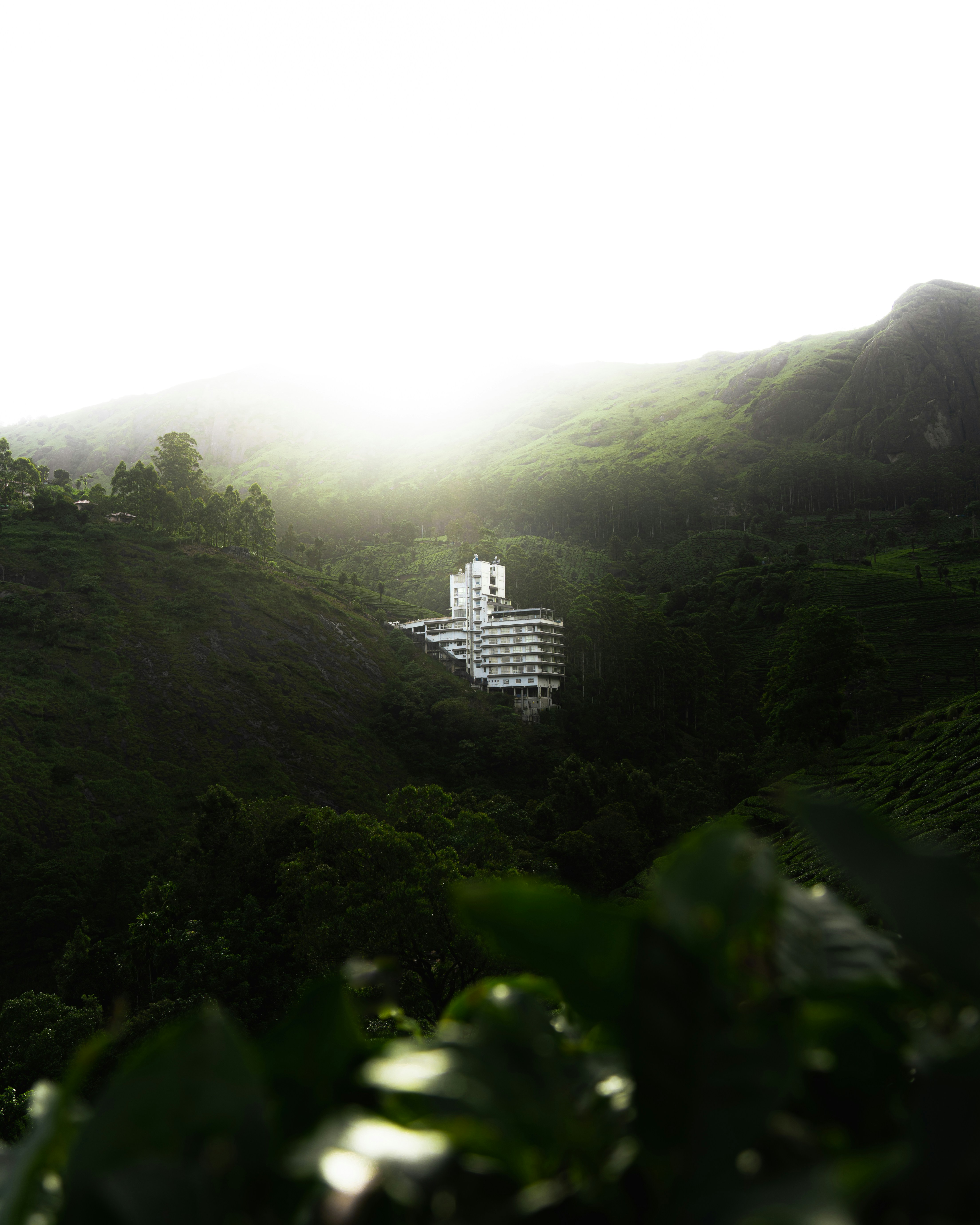 a building in the middle of a forest
