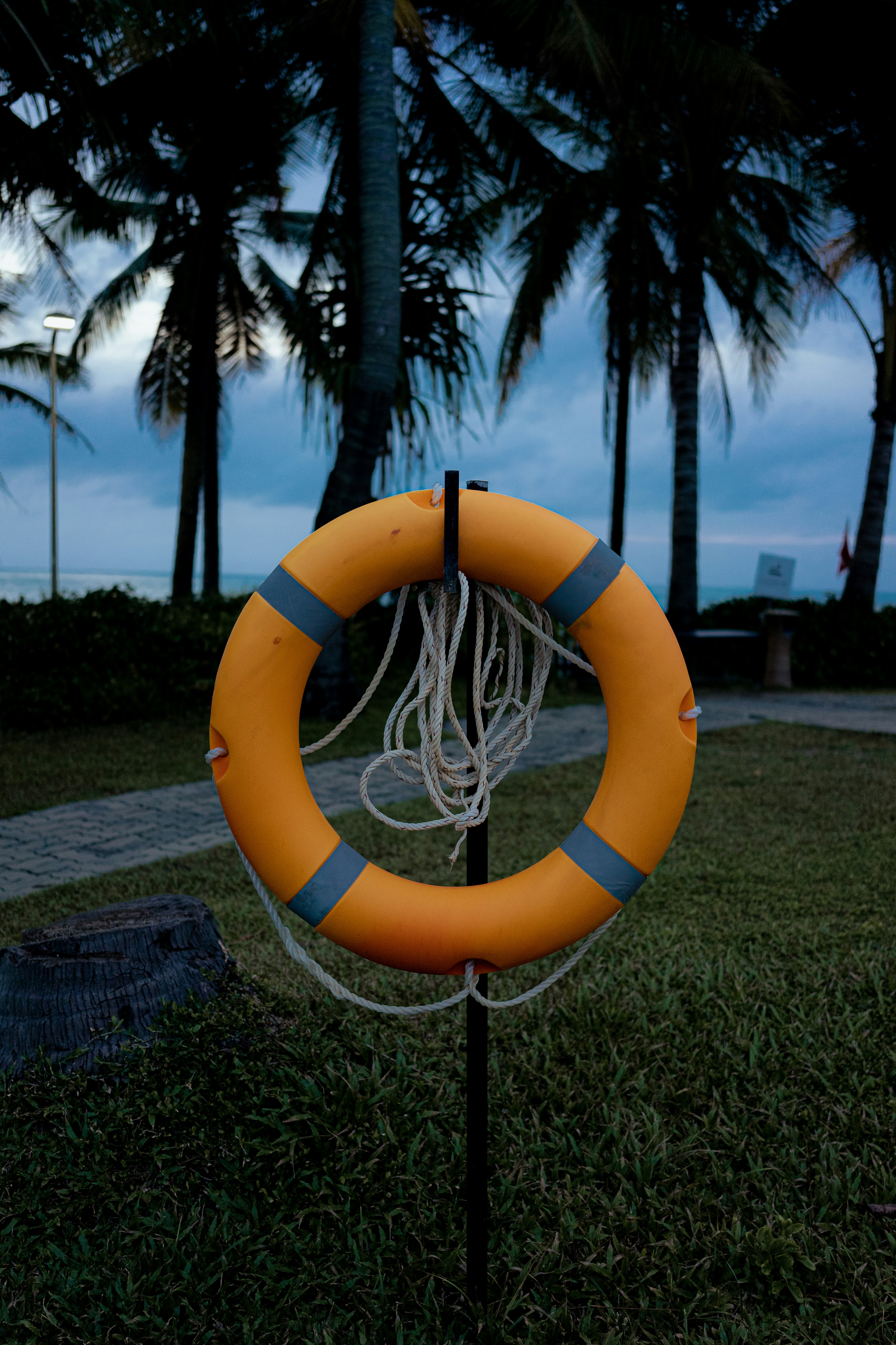 Blue Hour Lifebuoy: An Orange Ring Framed by Palms