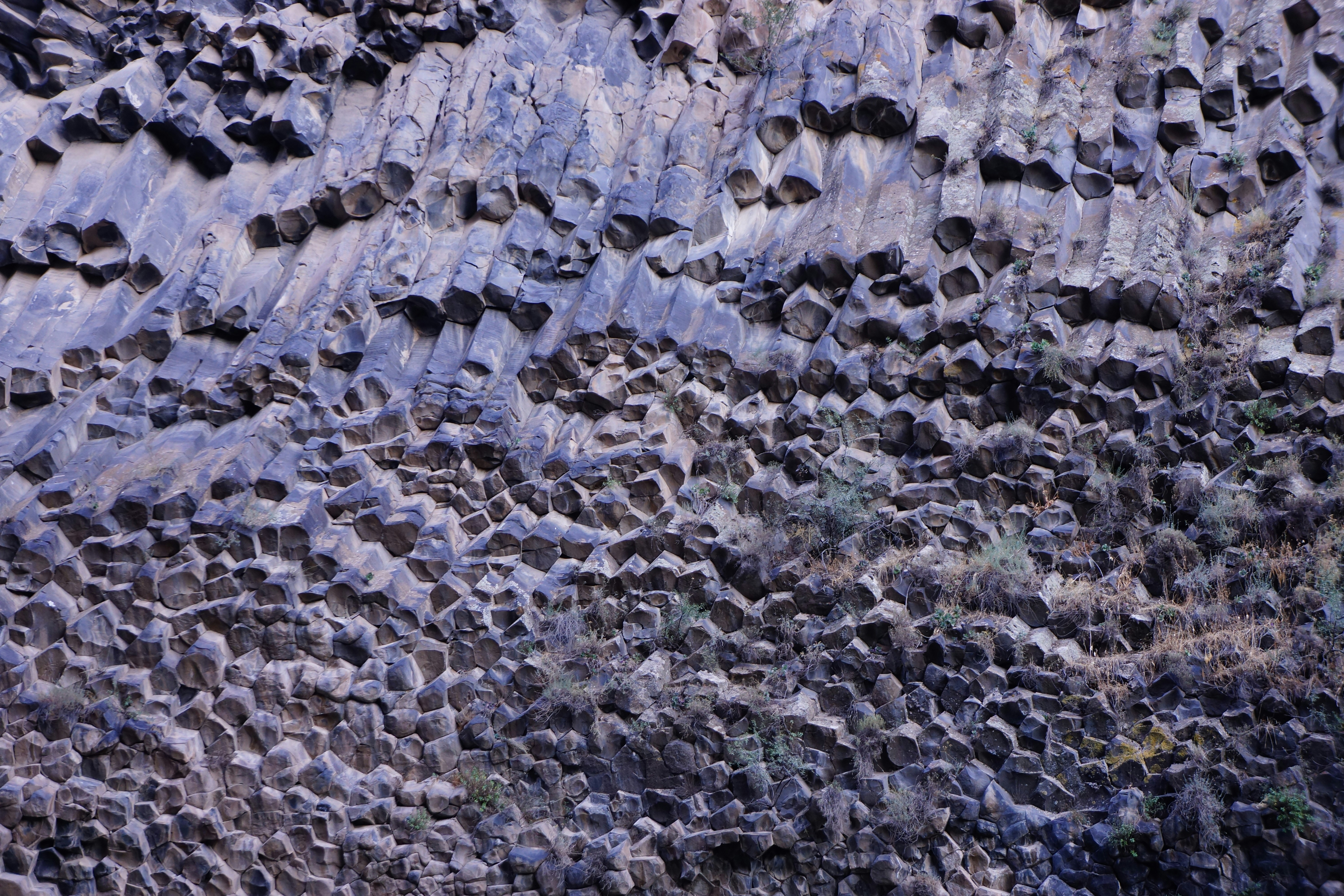 A close-up of a rock photo – Free Symphony of stones Image on Unsplash