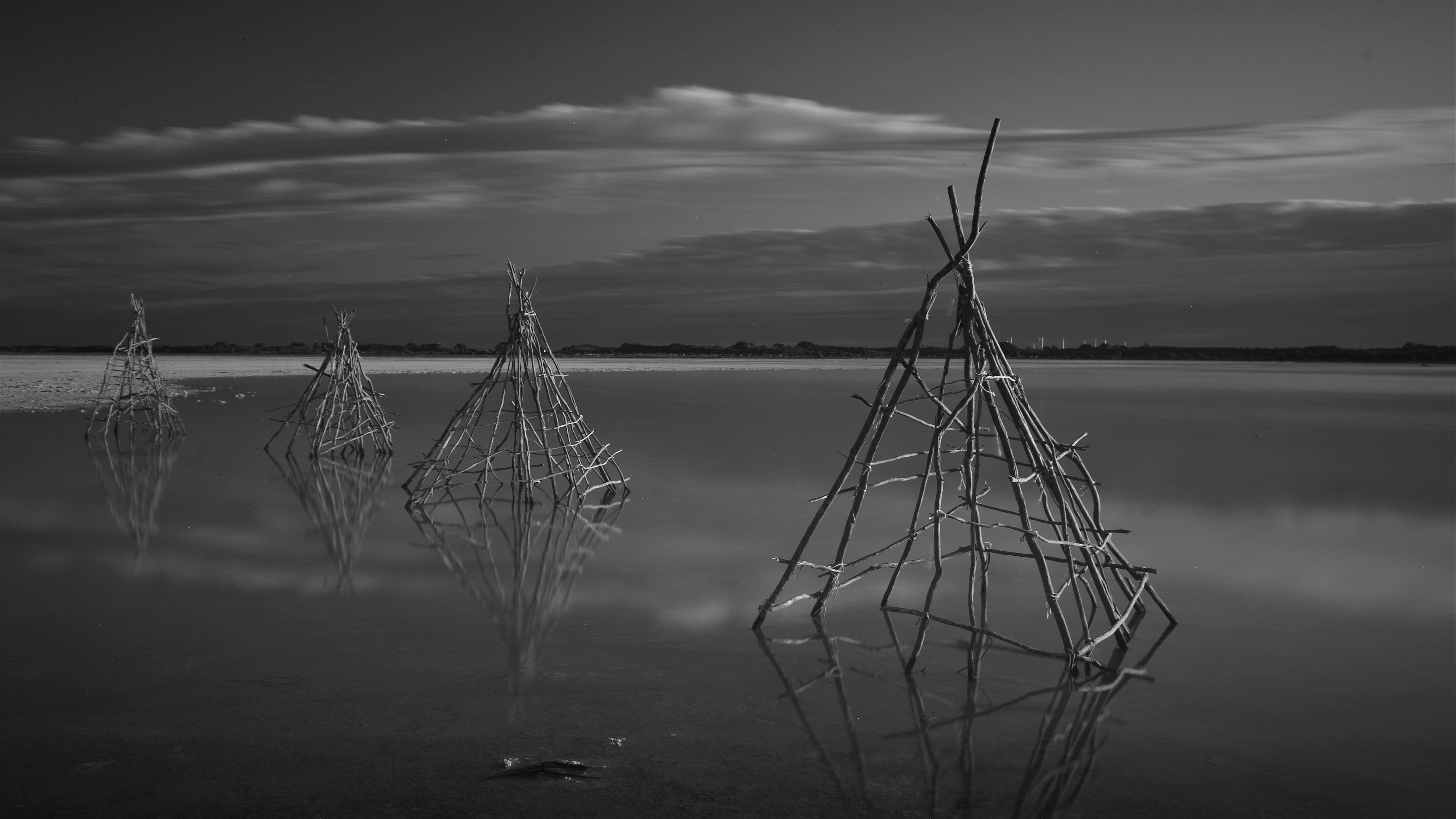 A group of sticks in the water photo – Free Grey Image on Unsplash