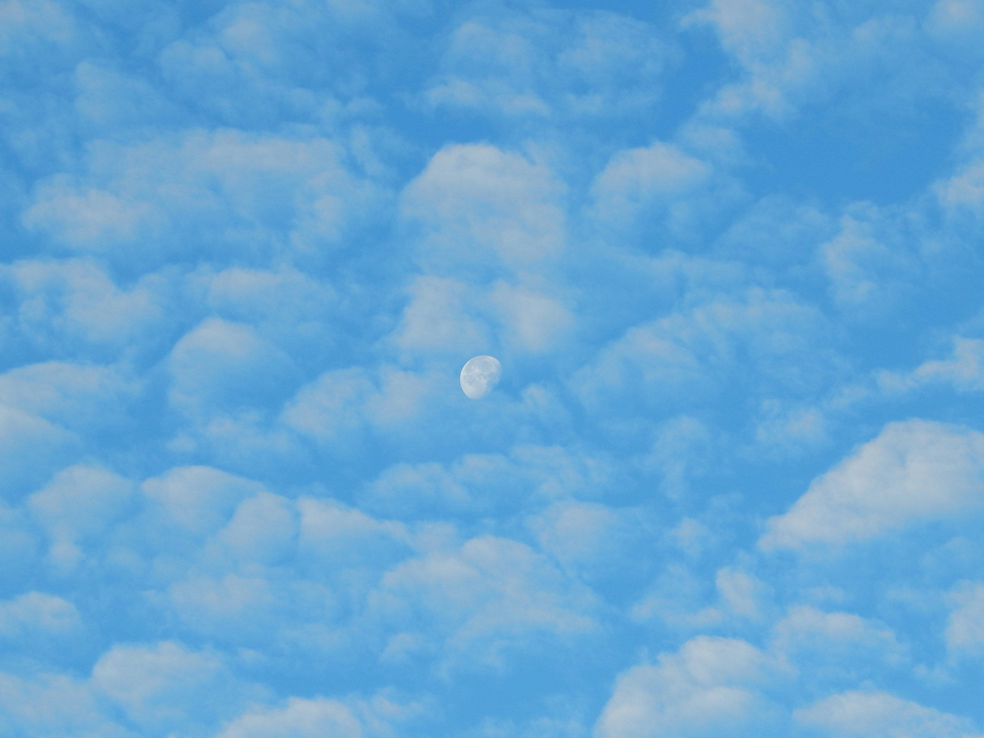 Um céu azul com nuvens foto – Imagem grátis sobre Azul na Unsplash