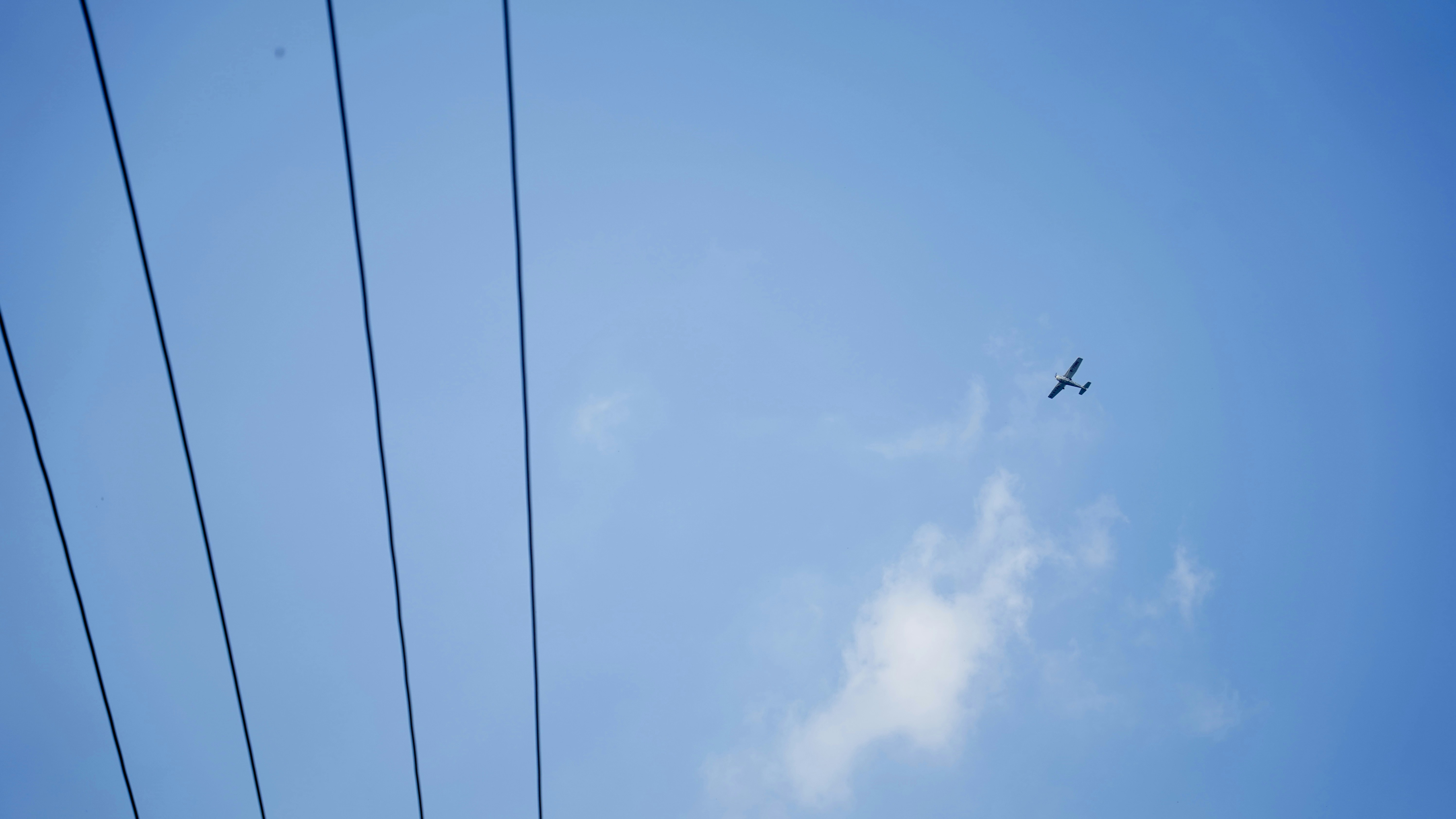 Photo by Lin Dai with Sony Alpha 7C