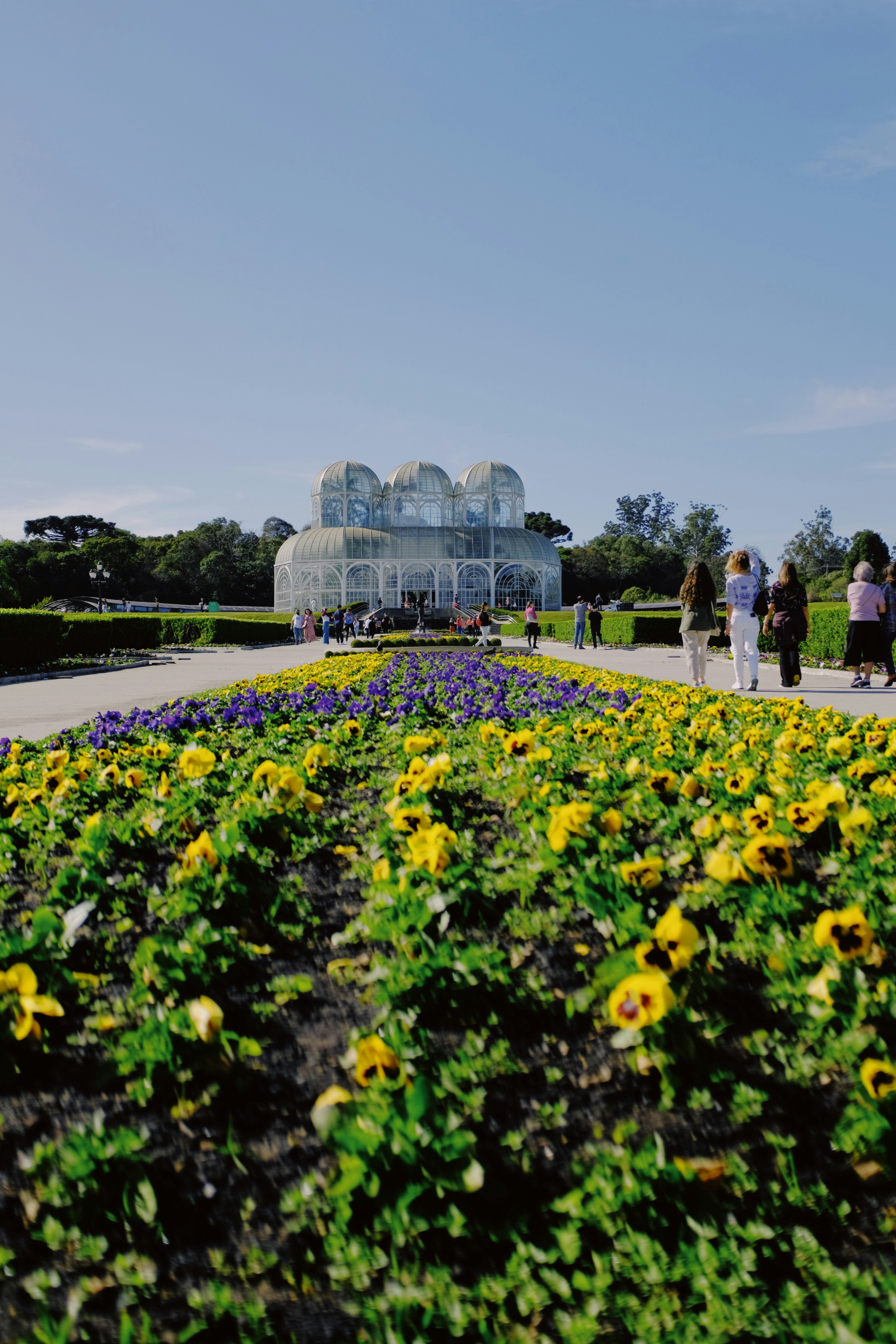 A group of people walking around a garden photo – Free Jardim botânico ...