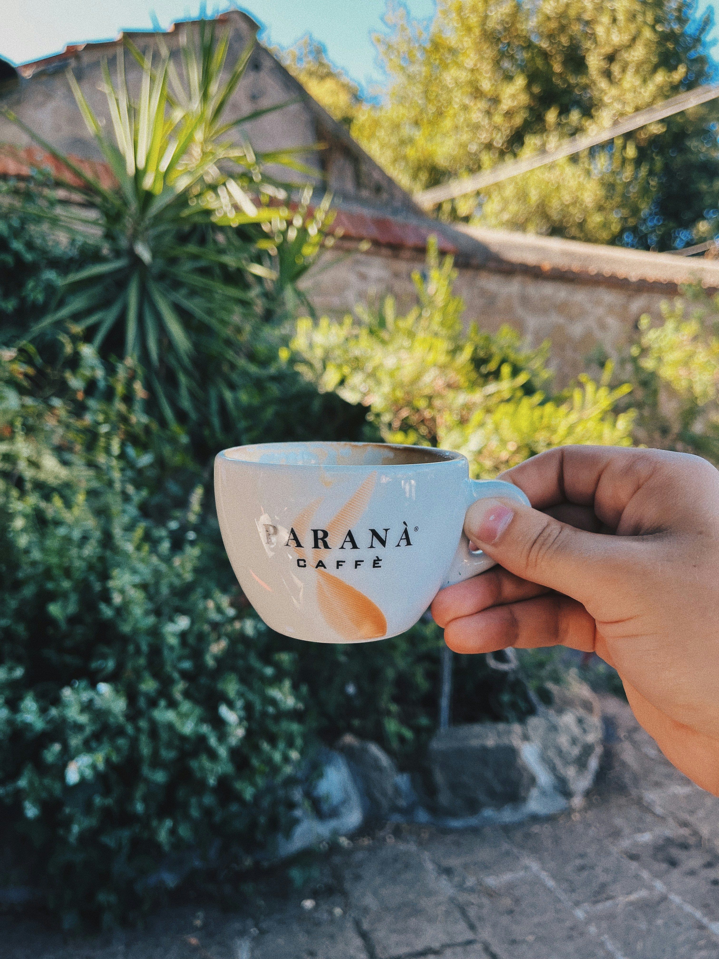 Sunlit Cup of Paraná Caffè in a Verdant Courtyard