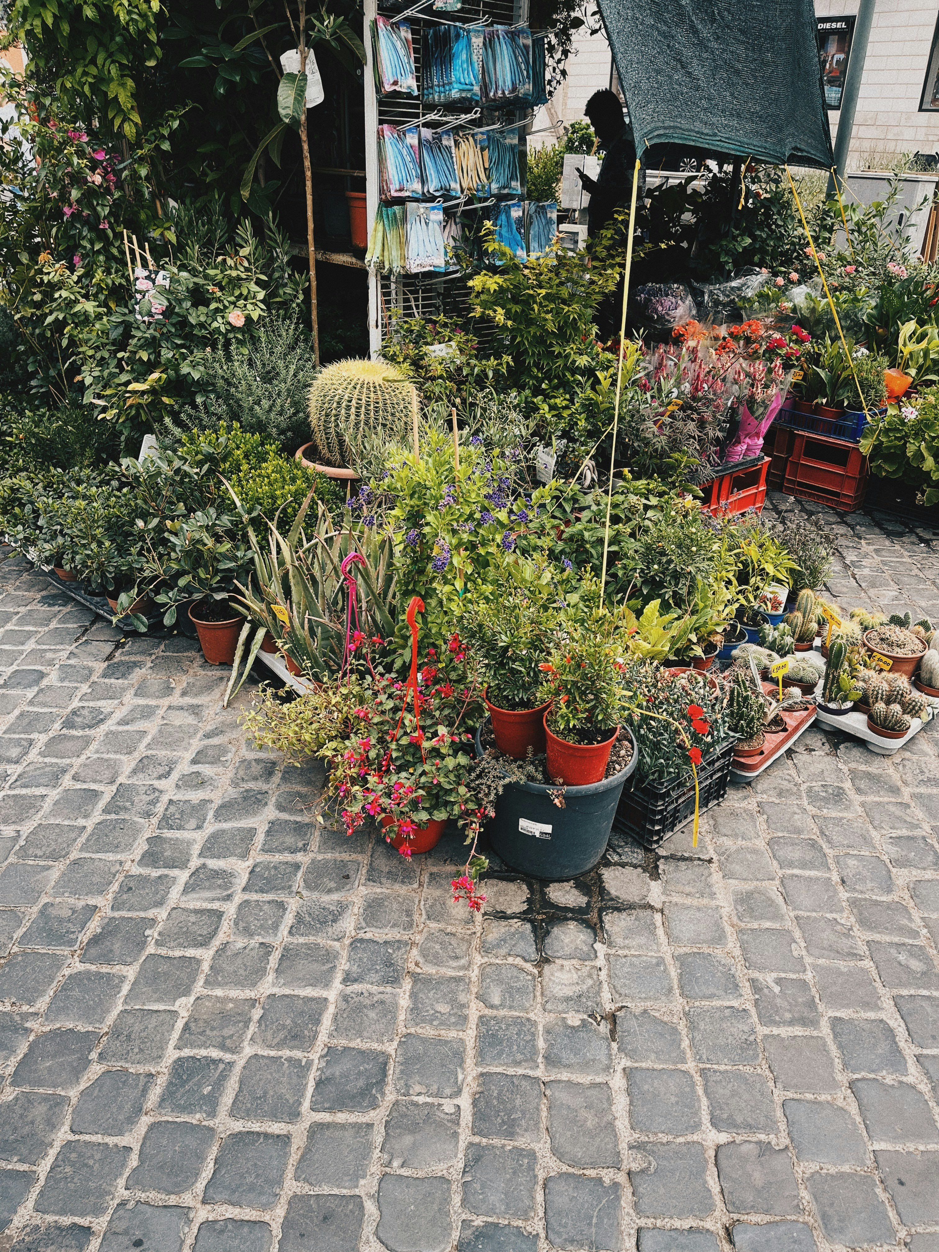 Cobblestone Oasis: A Compact Garden Market of Pots and Blooms