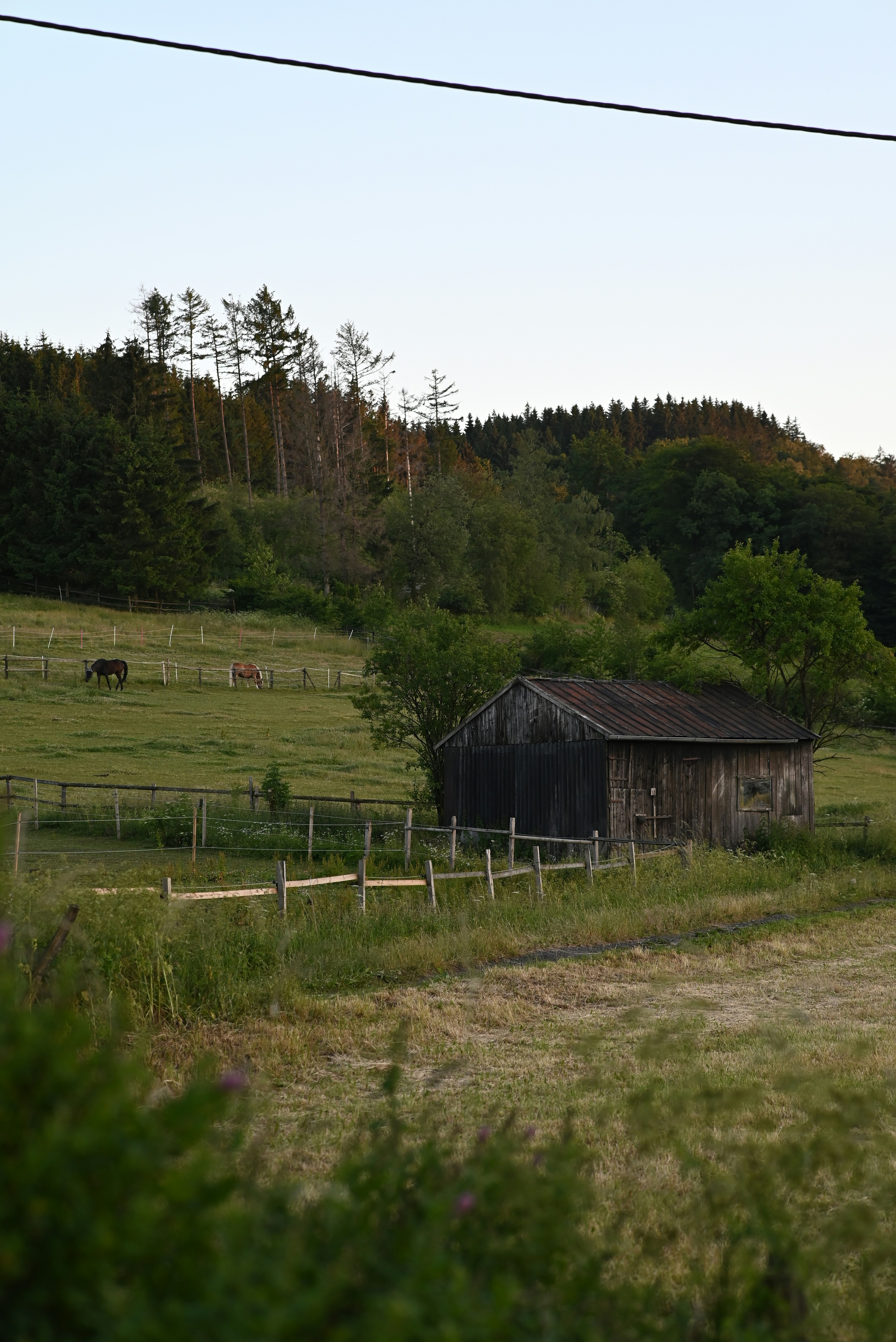 Weathered barn nestled in a tranquil pasture, surrounded by grazing horses and lush greenery.