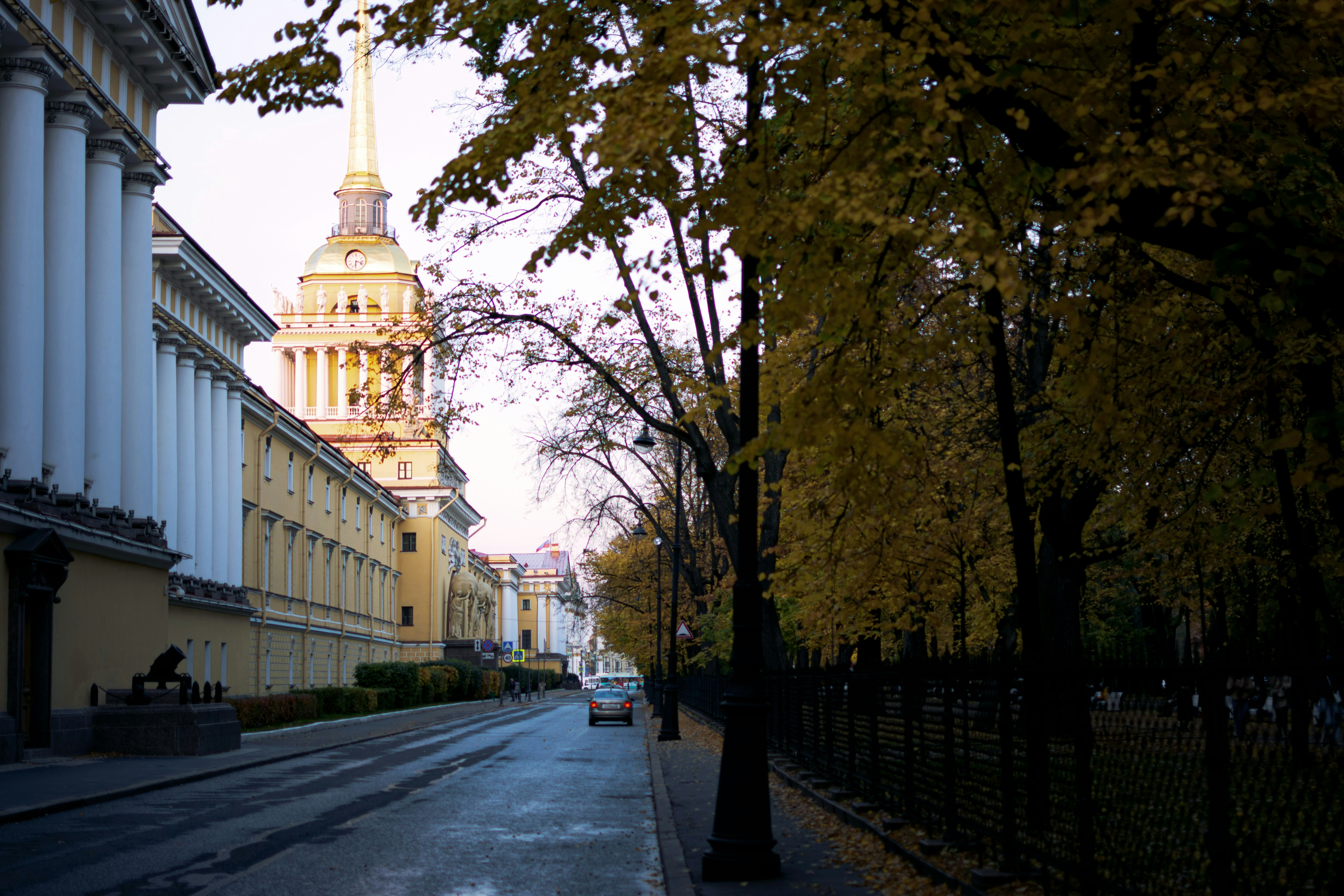 a street with trees on the side