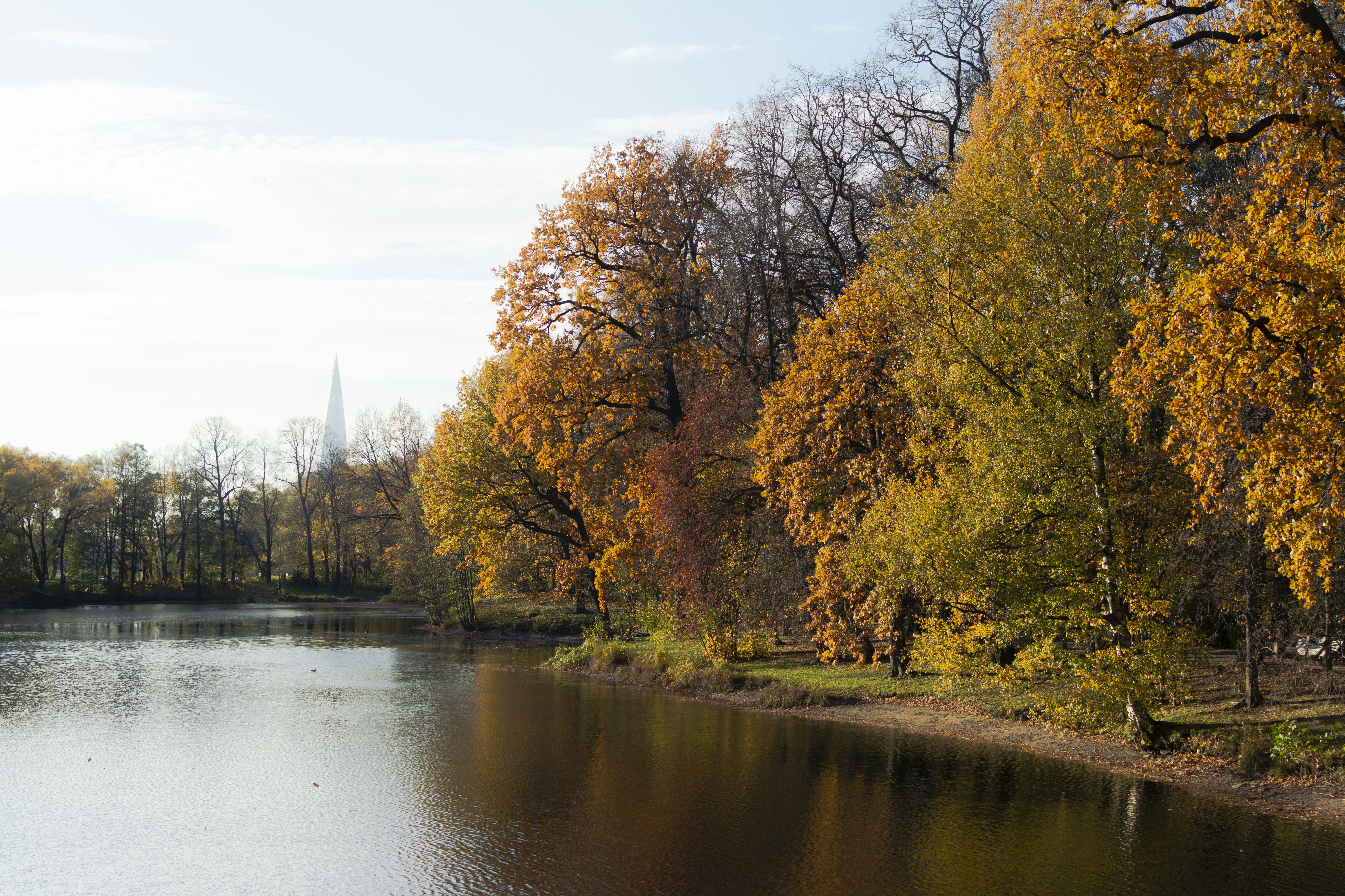 Golden autumn foliage lining a tranquil lake, reflecting the vibrant colors and a distant spire under a clear sky.