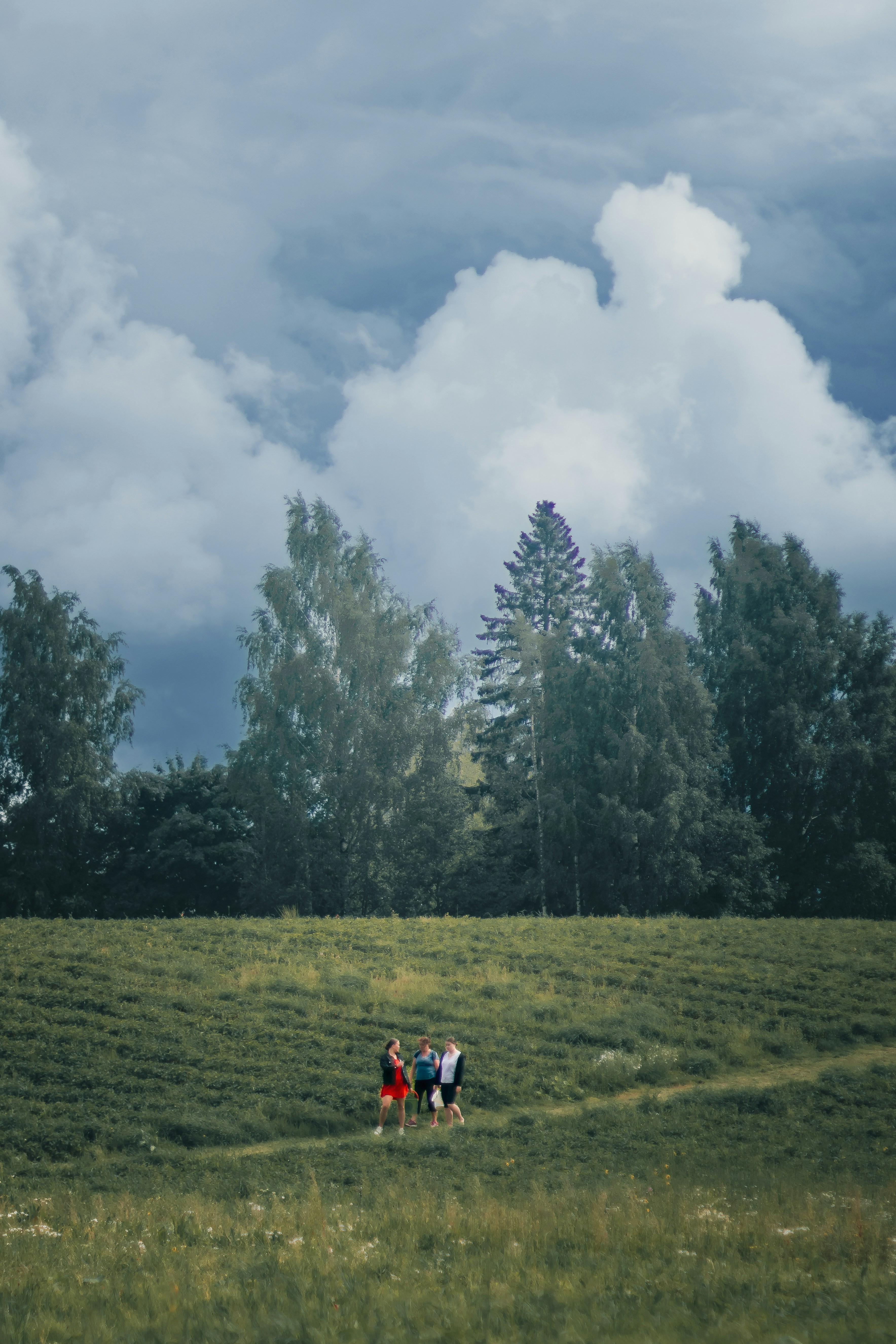Four on a Quiet Hill: Companions Trek Beneath a Towering Cloudscape