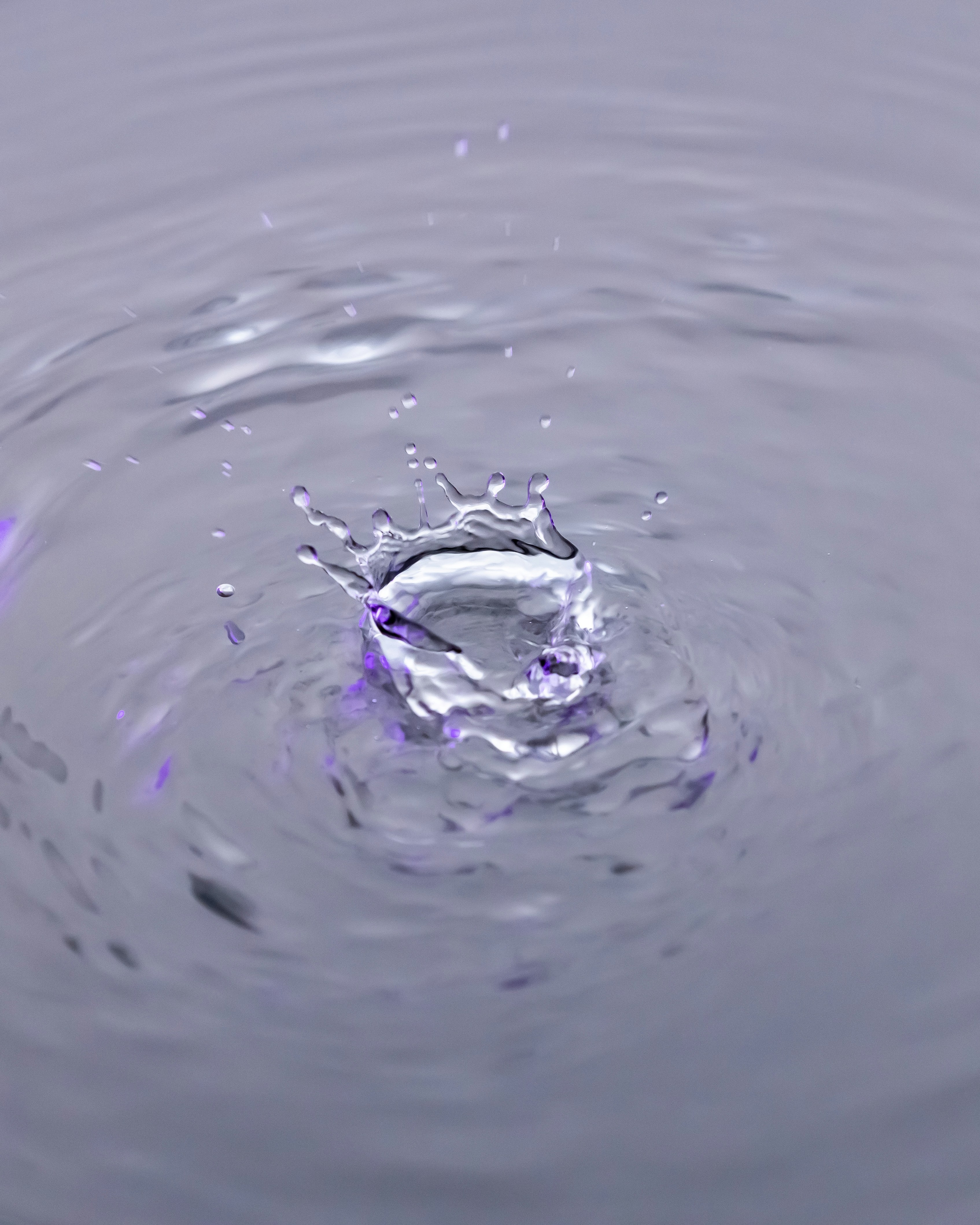 Violet Crown Ripple: A single droplet births a delicate crown in a quiet pool.