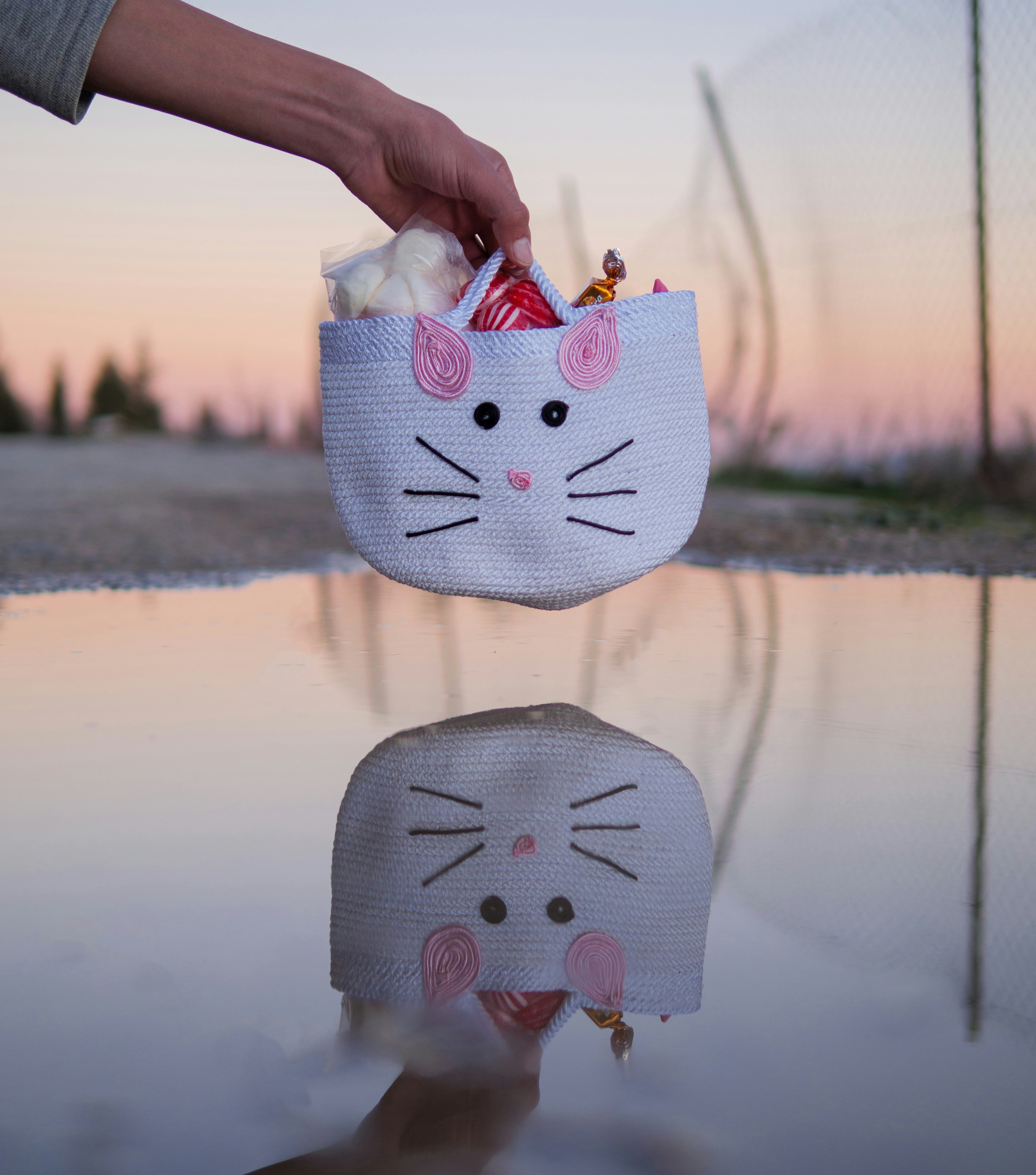 Sunset Whiskers: Handheld Kitty Tote Hovering Over a Quiet Mirror Pool