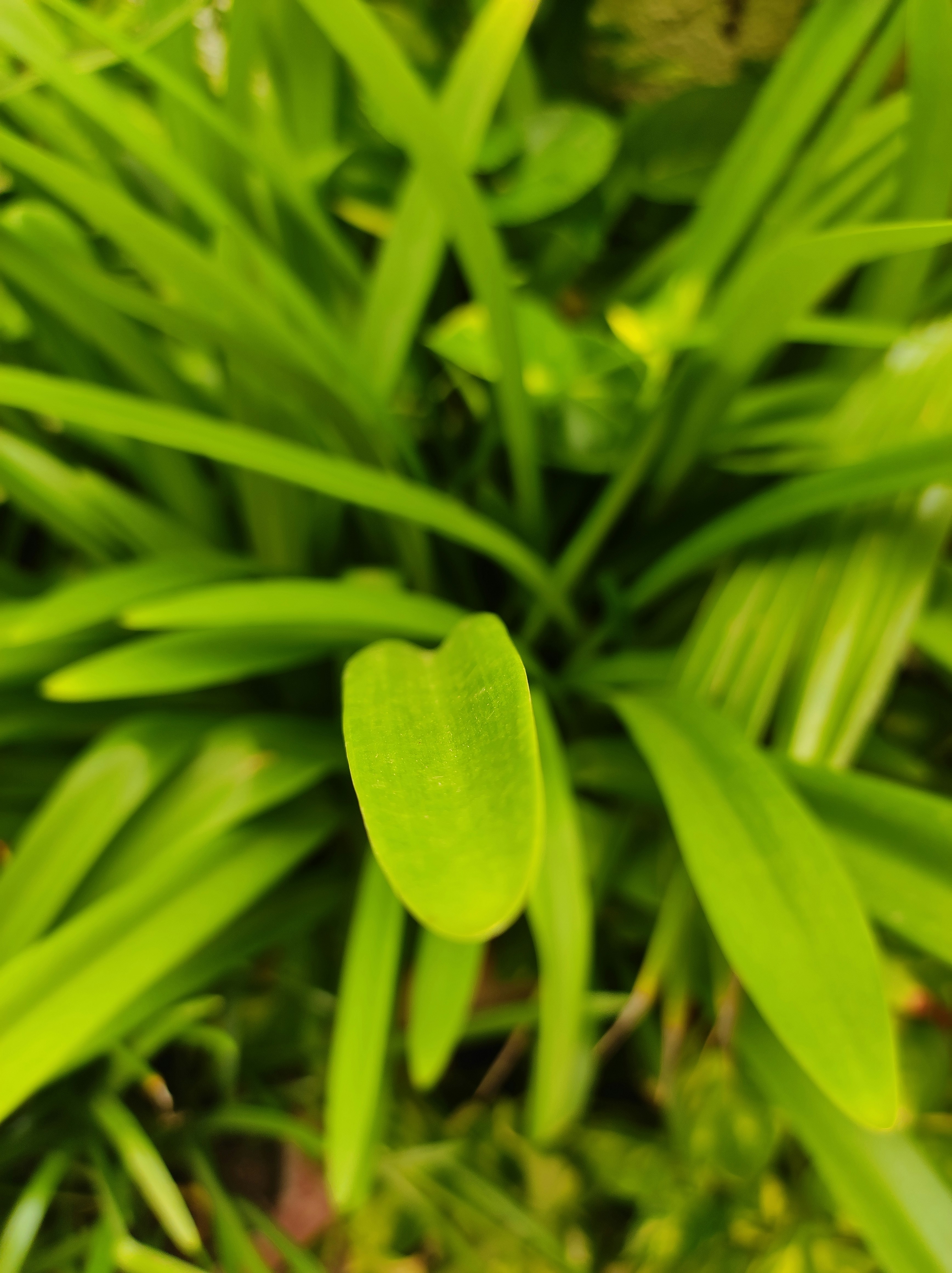 Photo by Het Suthar with Redmi Note 10 Pro