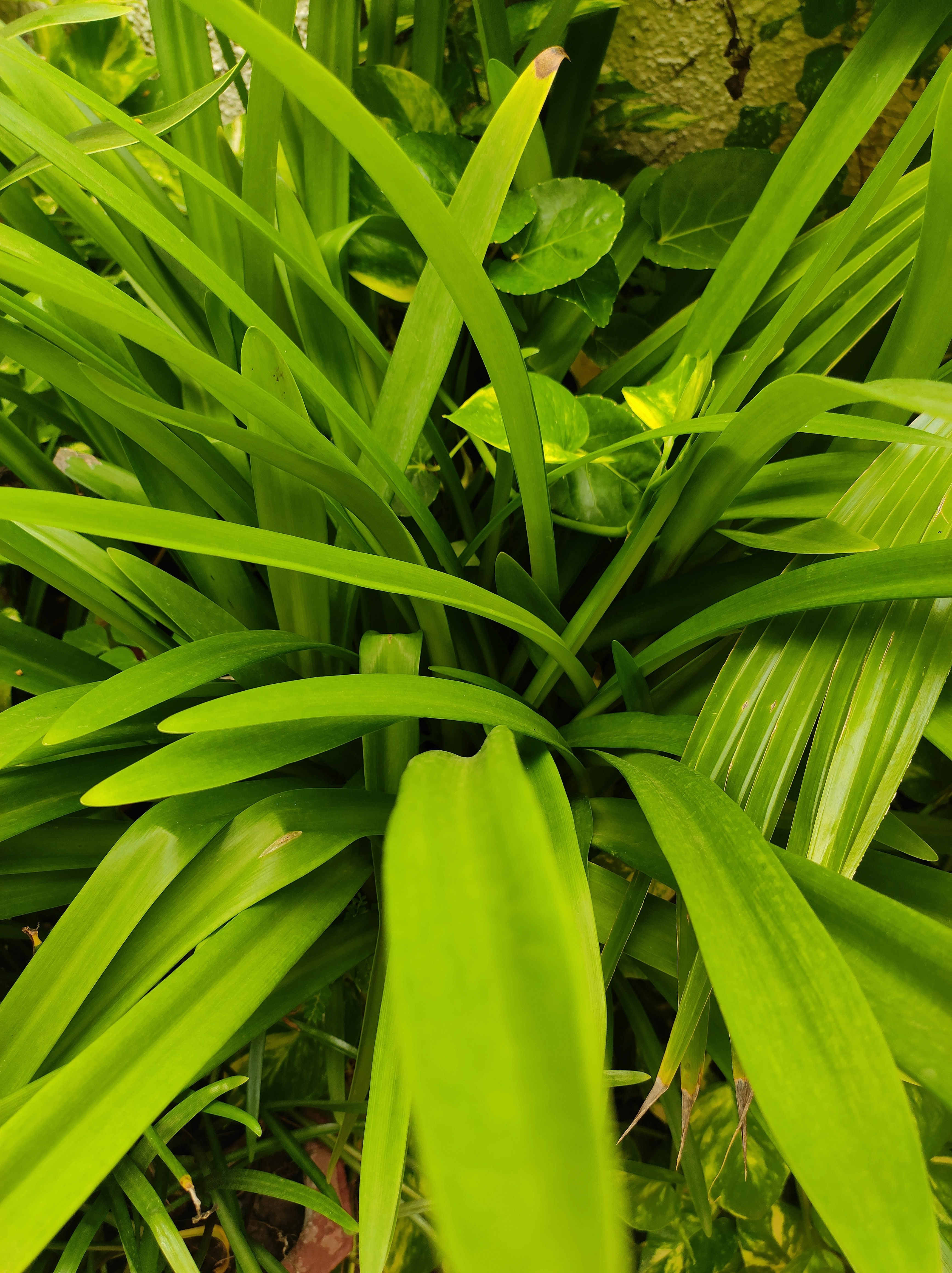 Photo by Het Suthar with Redmi Note 10 Pro