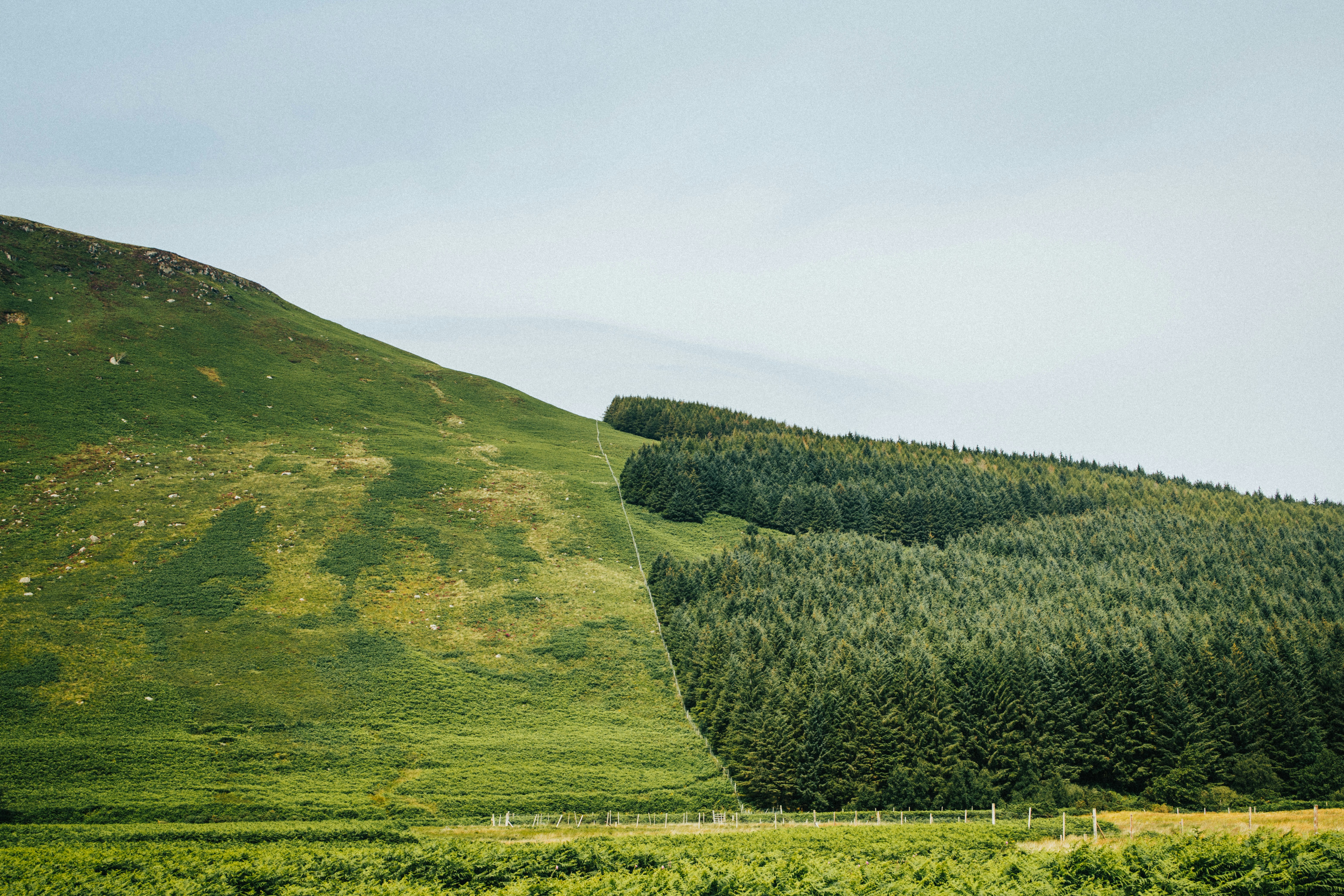 Une colline herbeuse avec des arbres dessus photo – Photo Glen Rosa ...