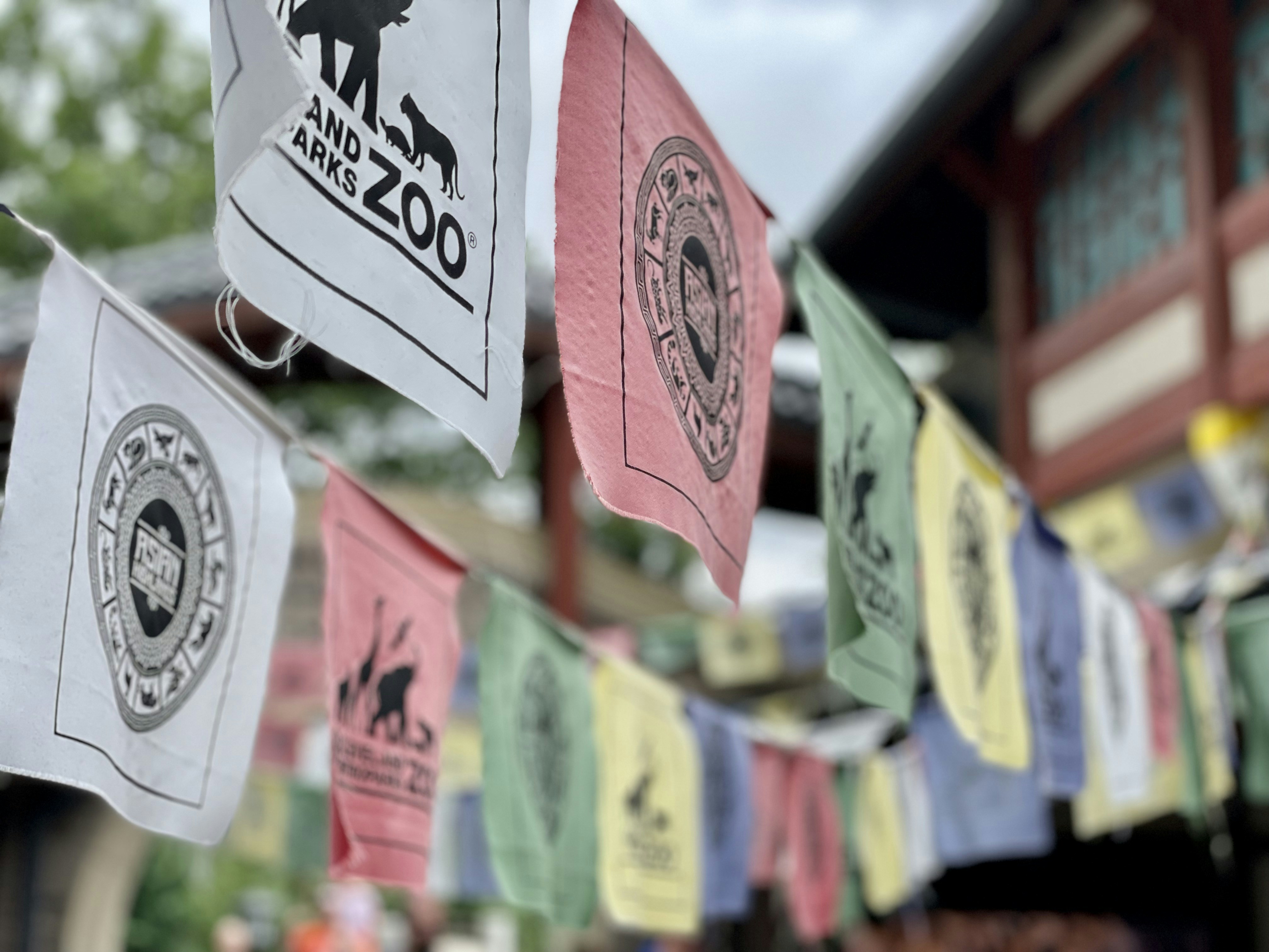 Colorful Prayer Flags Framing a Temple Courtyard