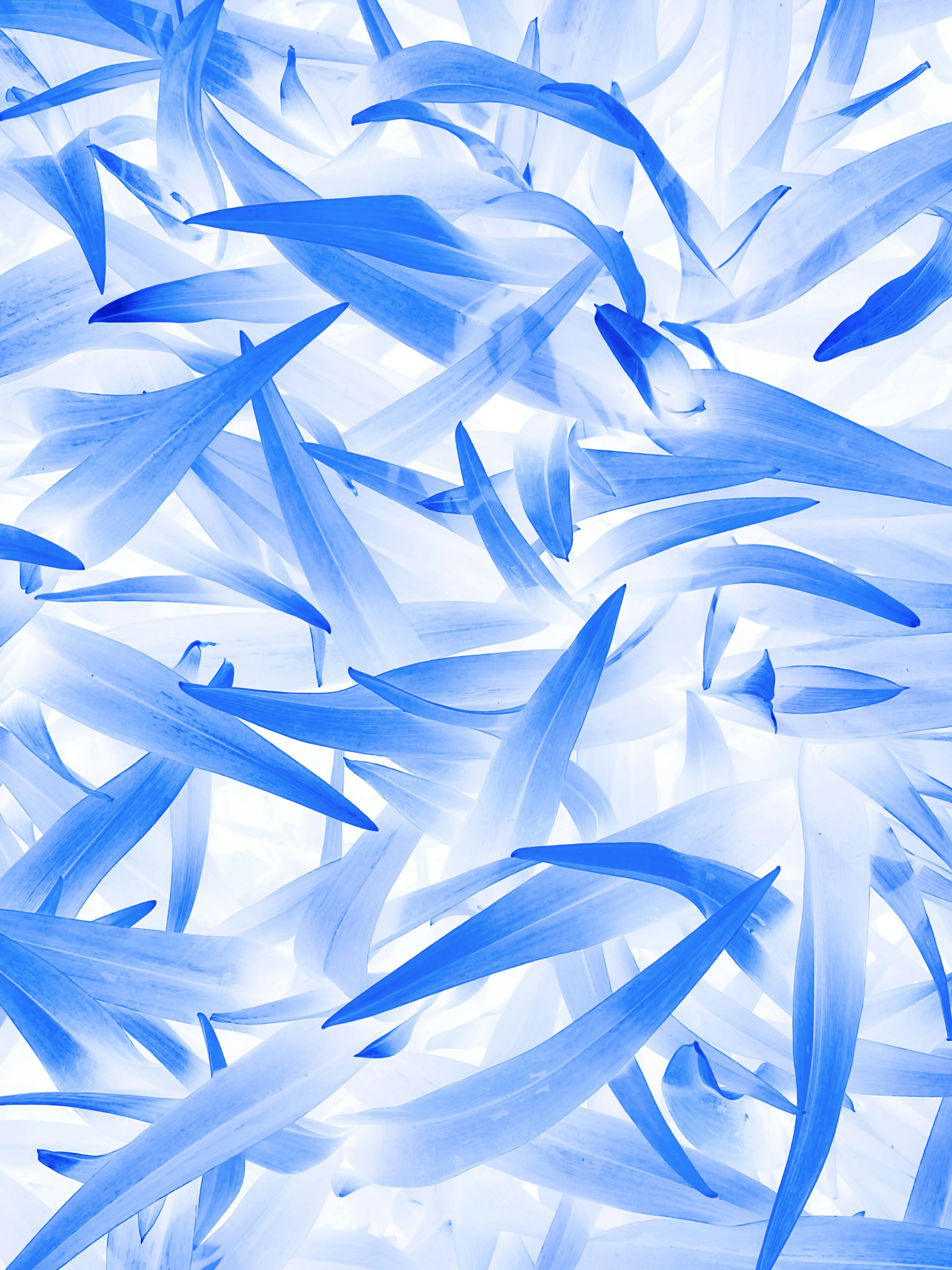 Photo by Eugene Golovesov with Apple iPhone 11 Pro