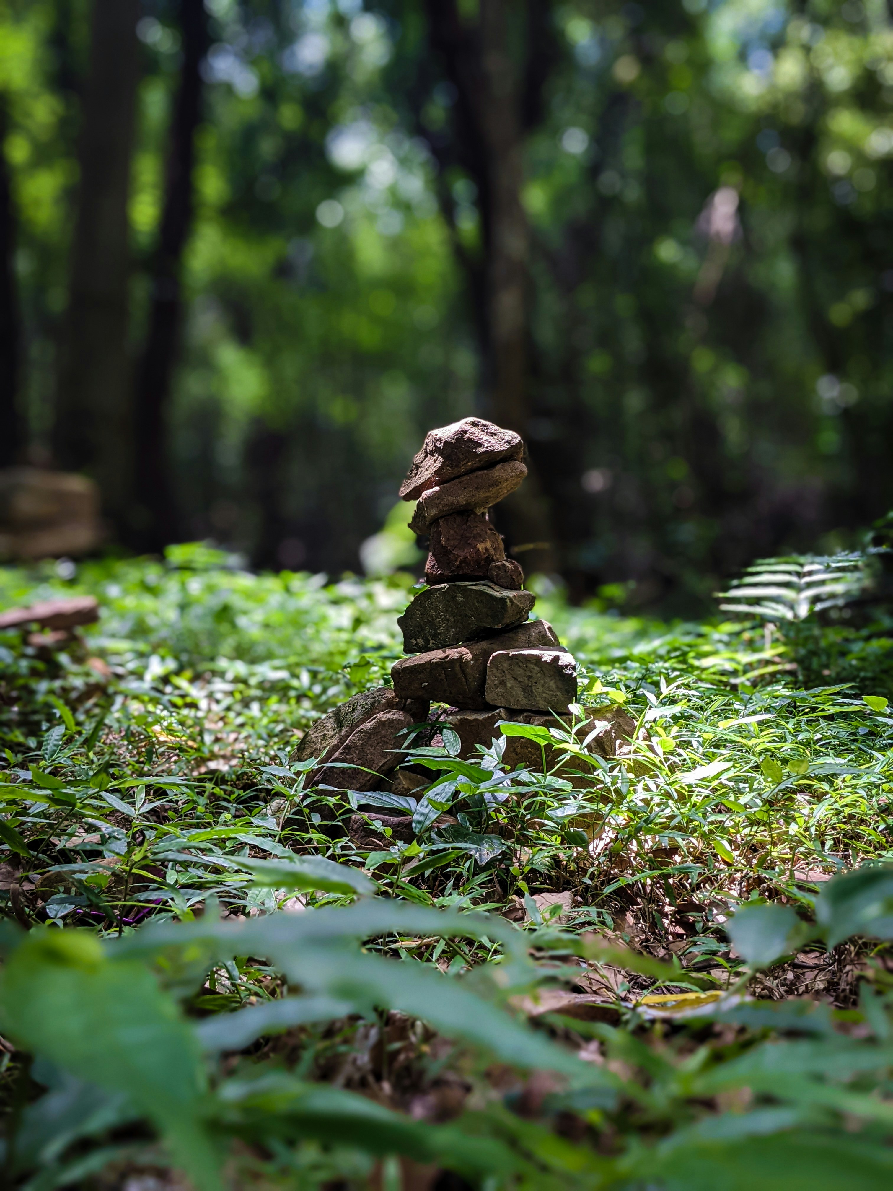 A stack of rocks in a forest photo – Free Nallamala forest Image on ...
