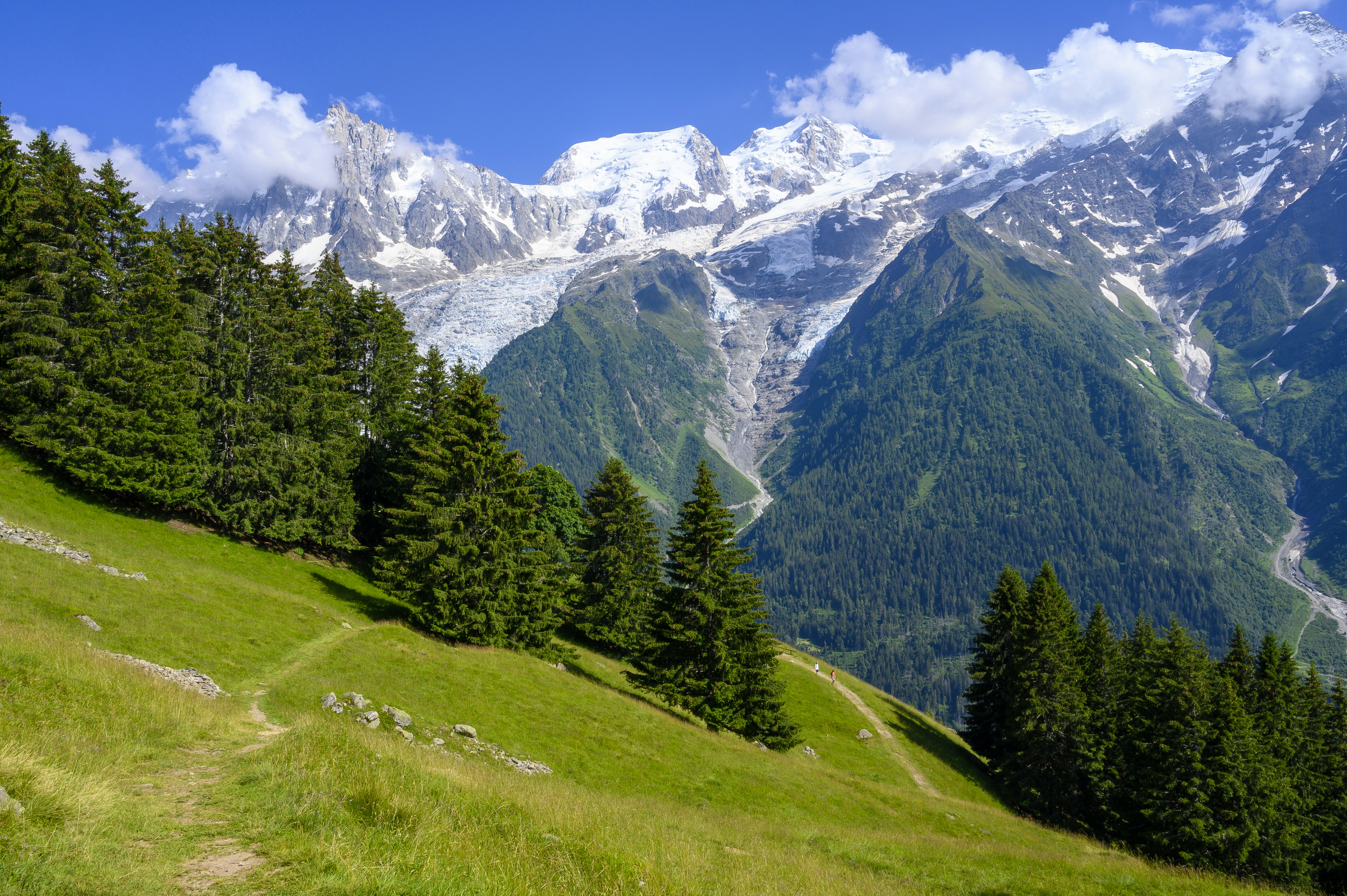 Lush green hillside leading to towering snow-capped mountains under a bright blue sky.