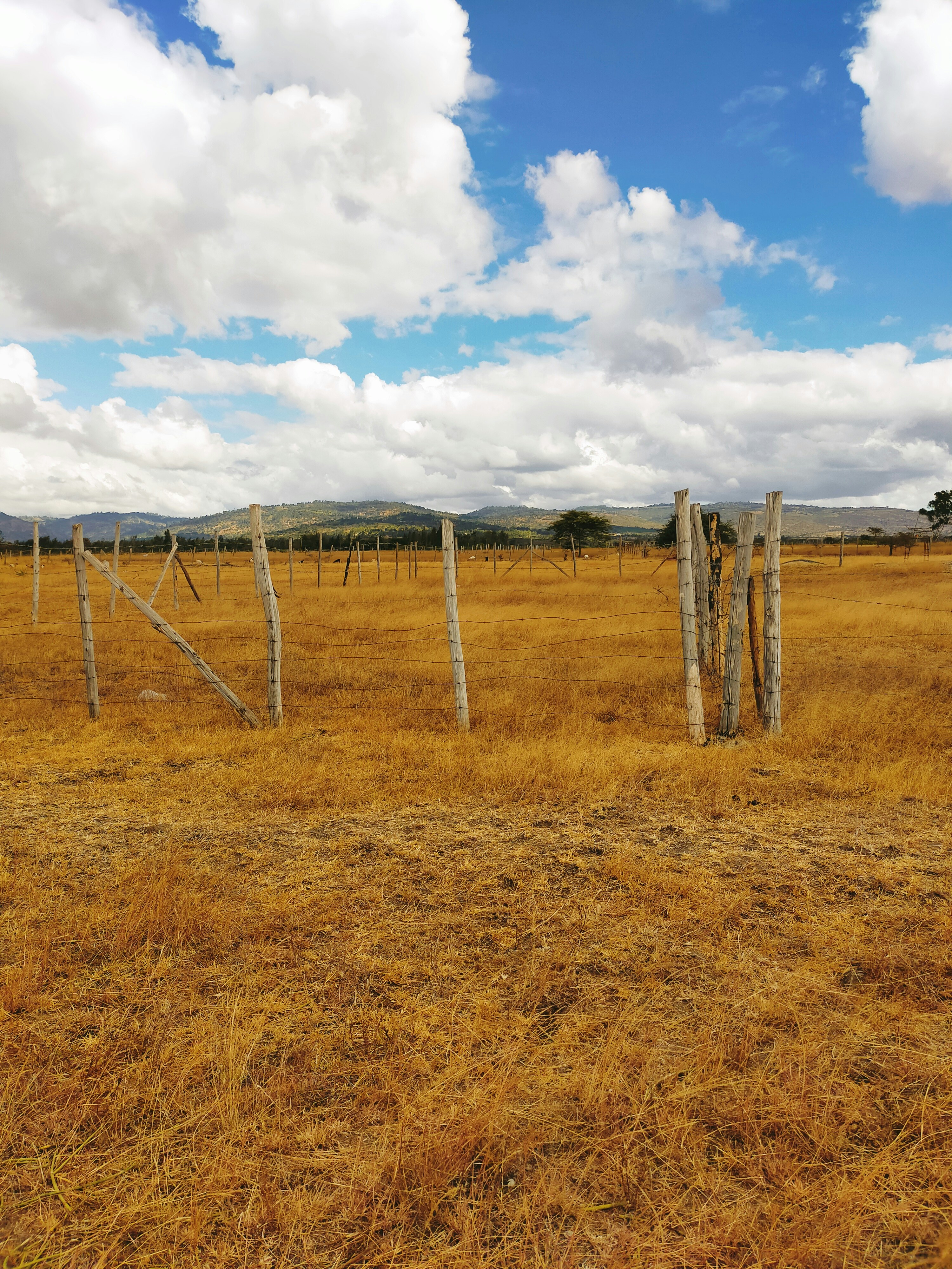 A fenced off field photo – Free Grassland Image on Unsplash