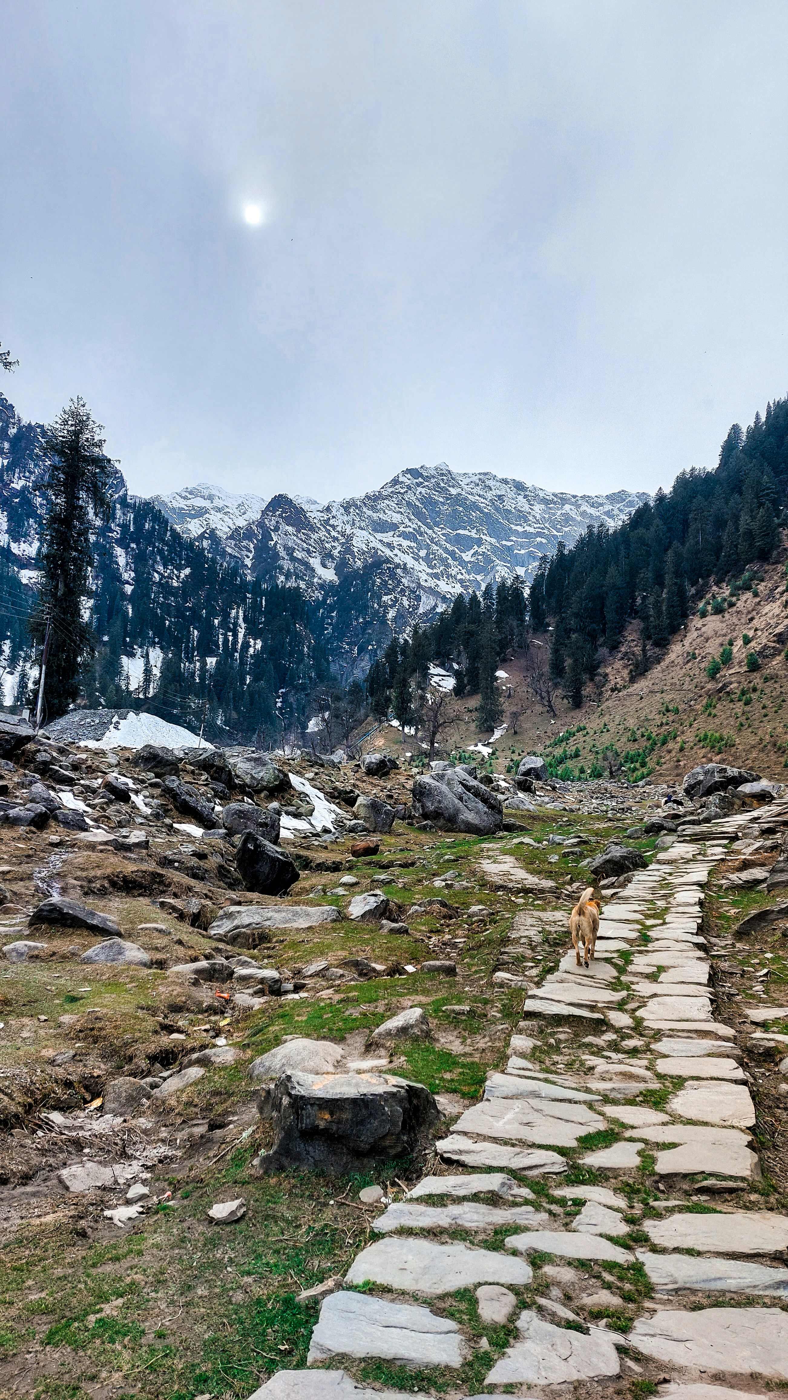 Stone Path to Snow-Capped Peaks