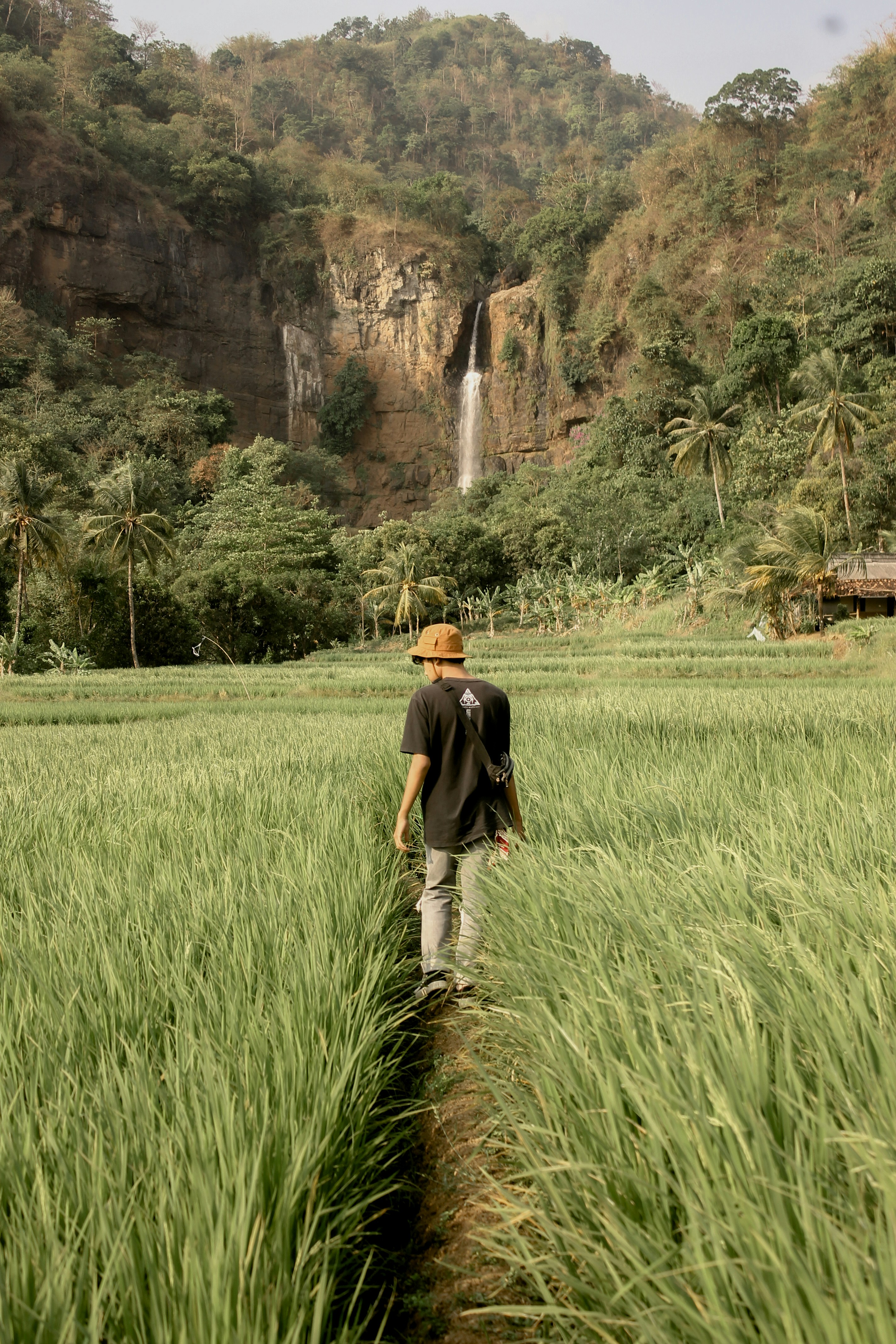 Person walking through lush green fields toward a distant waterfall nestled in a forested hillside.
