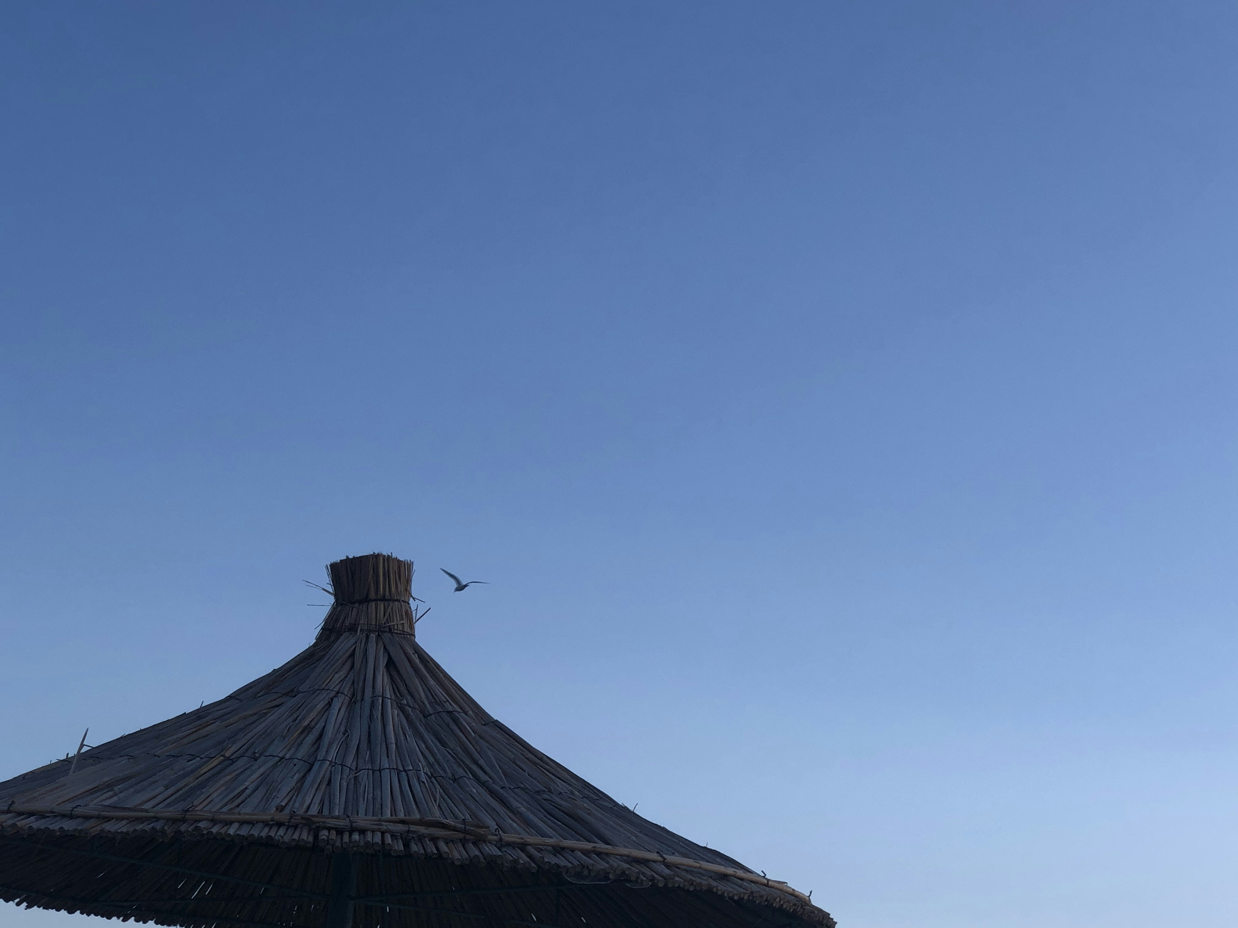 a bird sitting on top of a roof