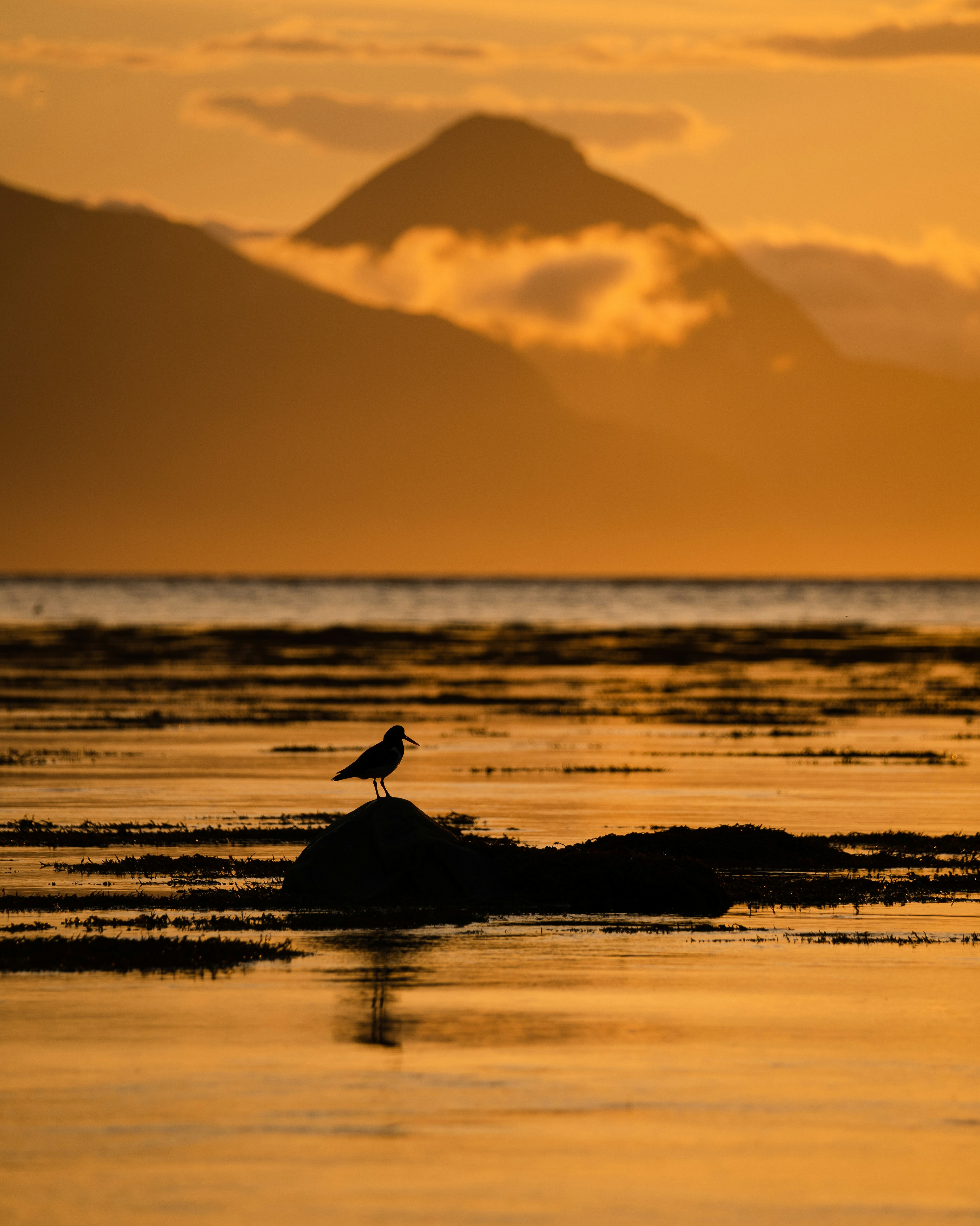 If you enjoy my content please follow: https://www.instagram.com/benvangphoto/