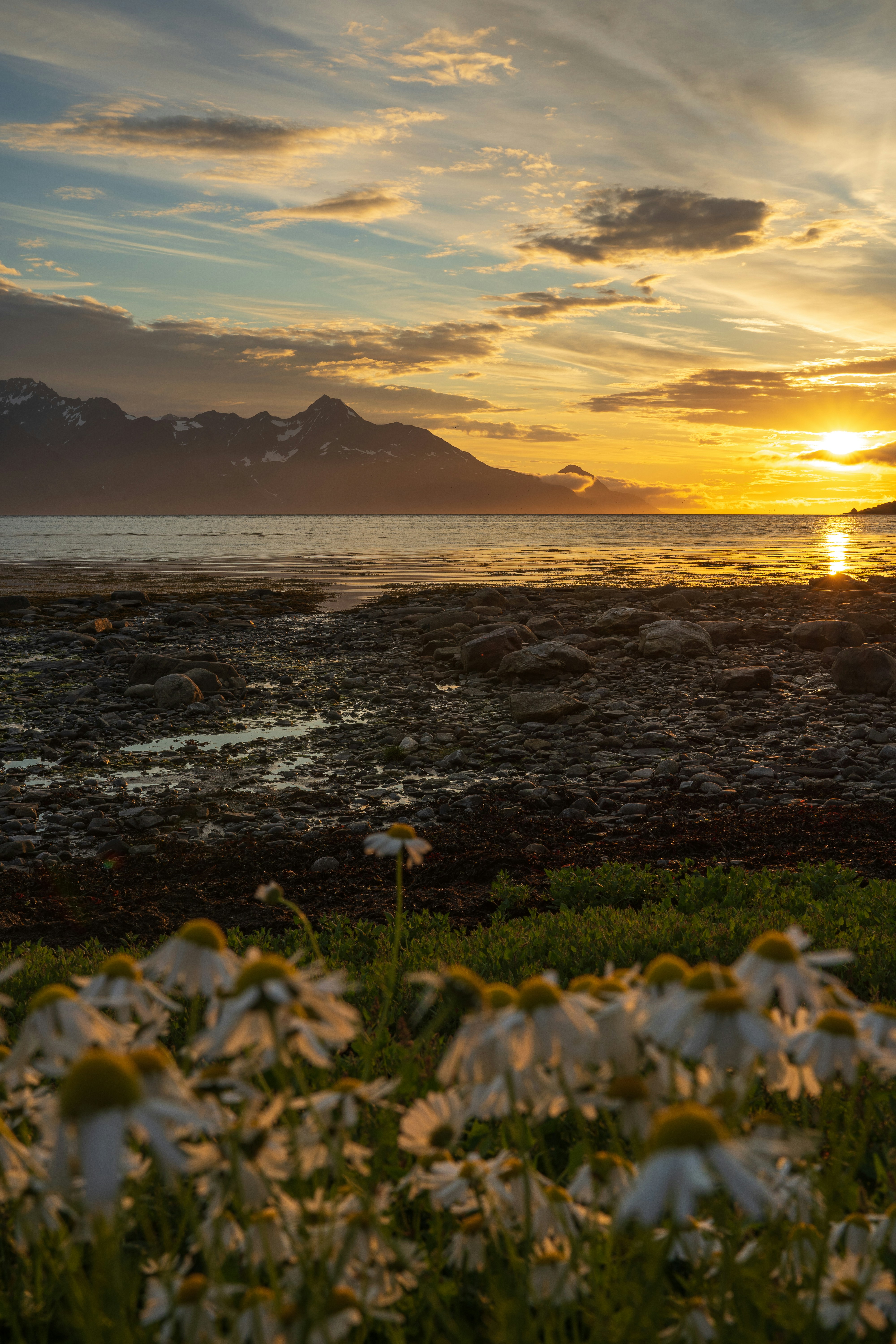 If you enjoy my content please follow: https://www.instagram.com/benvangphoto/