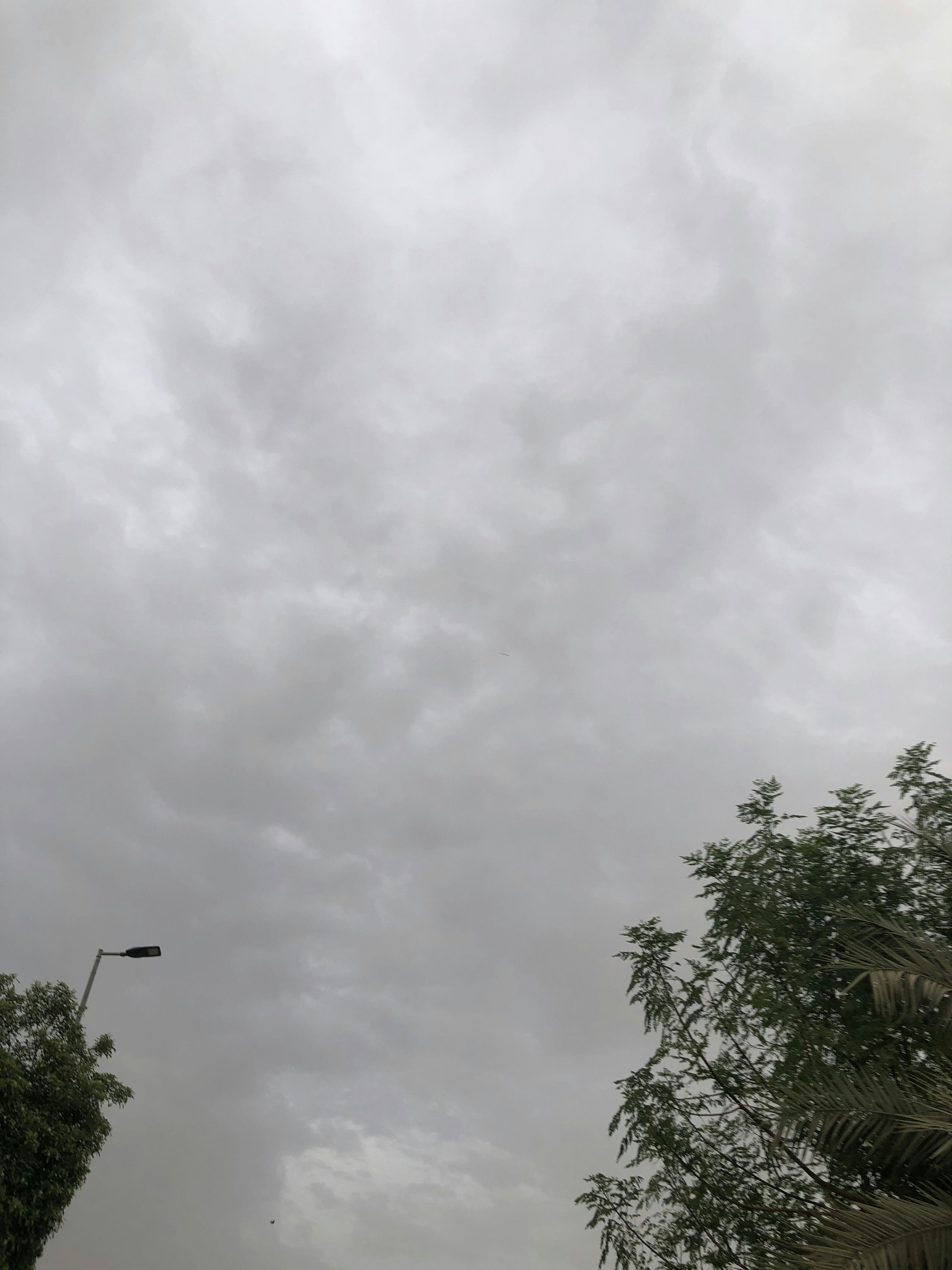 Eid Al Adha Morning, 9th July 2022