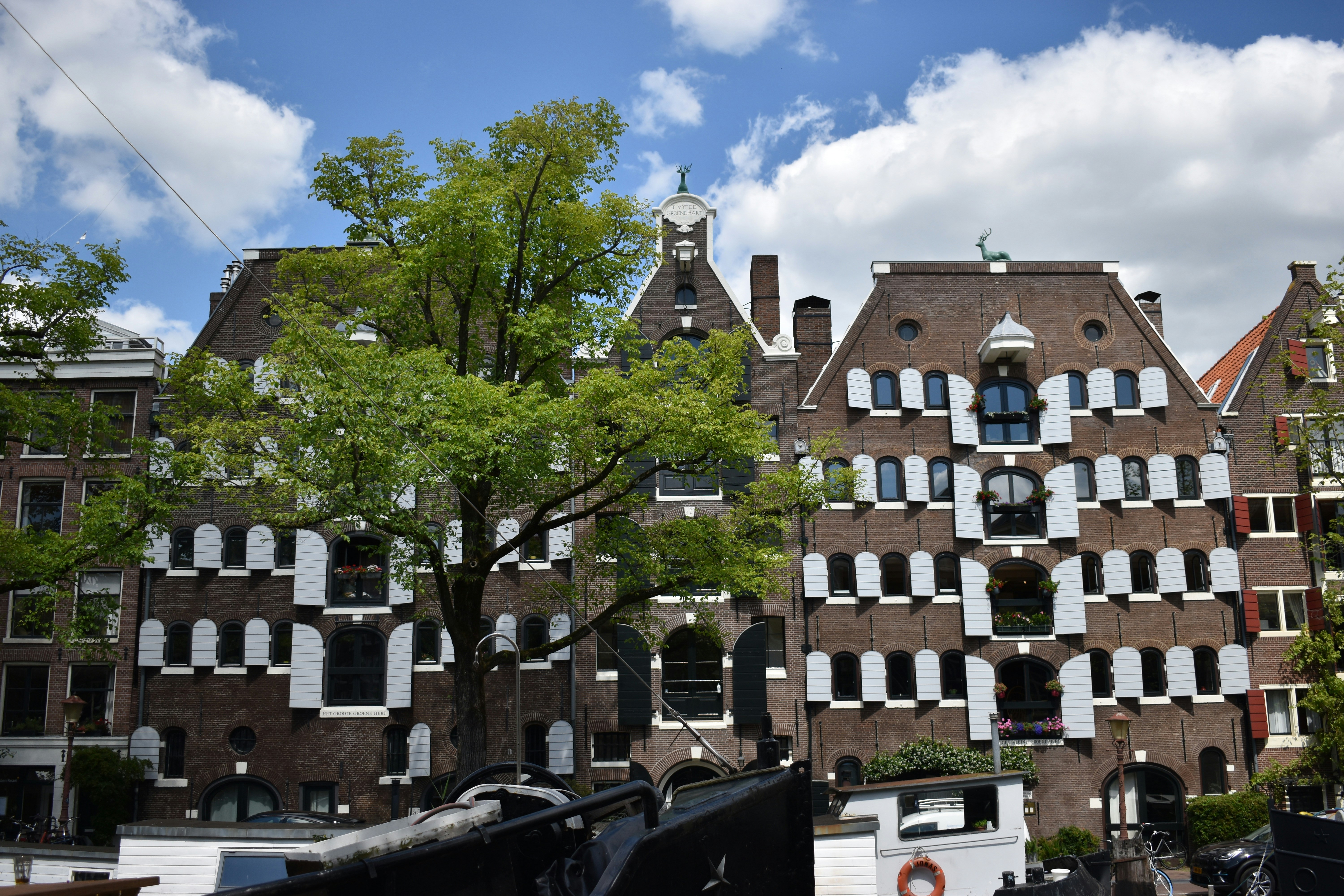 Green Canopy Over an Arched Brick Facade: Windows and Trees in a City Row