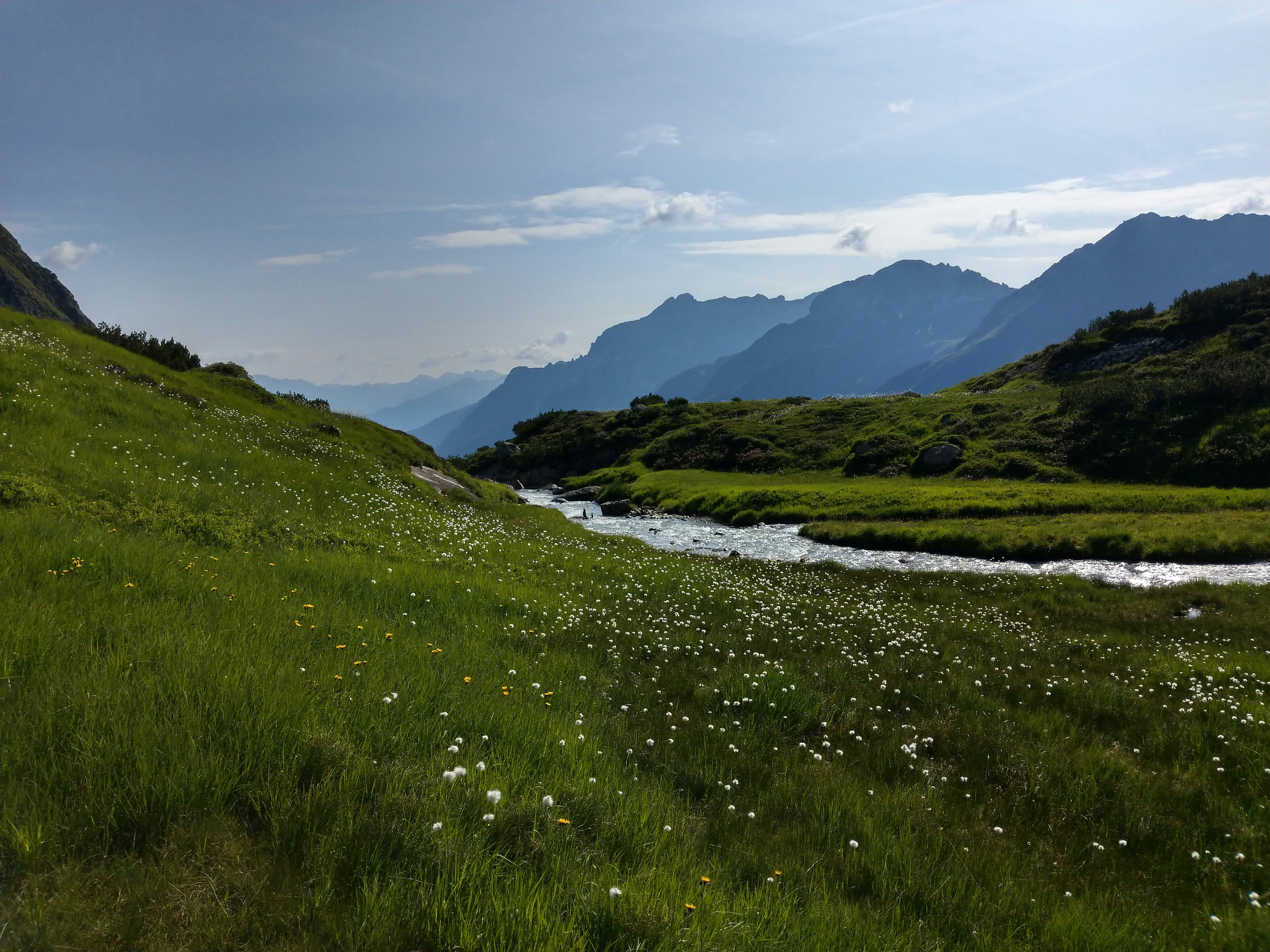 Alpine Meadow Tide: A River Sash Through Green Hills