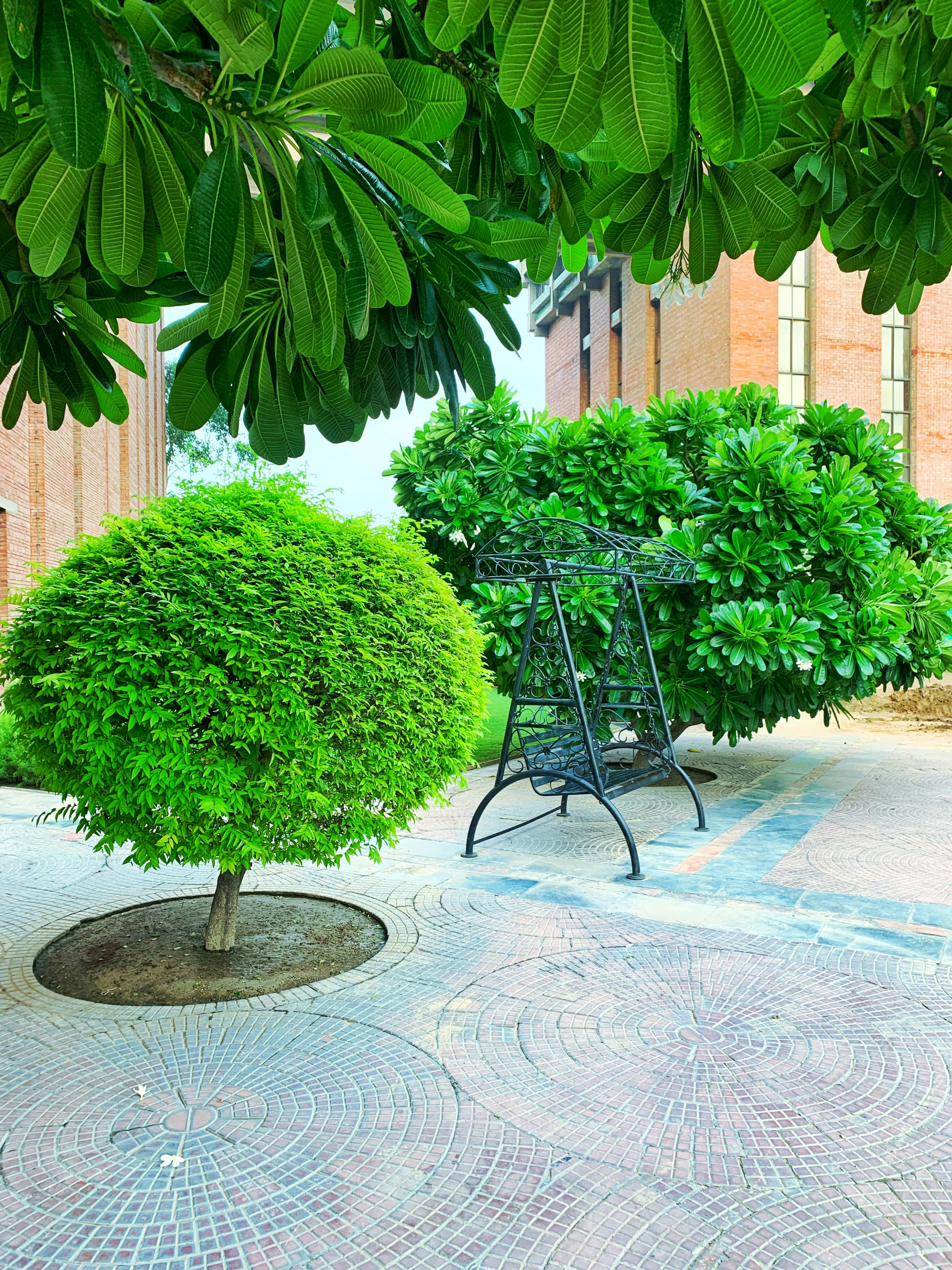 a chair and a tree outside
