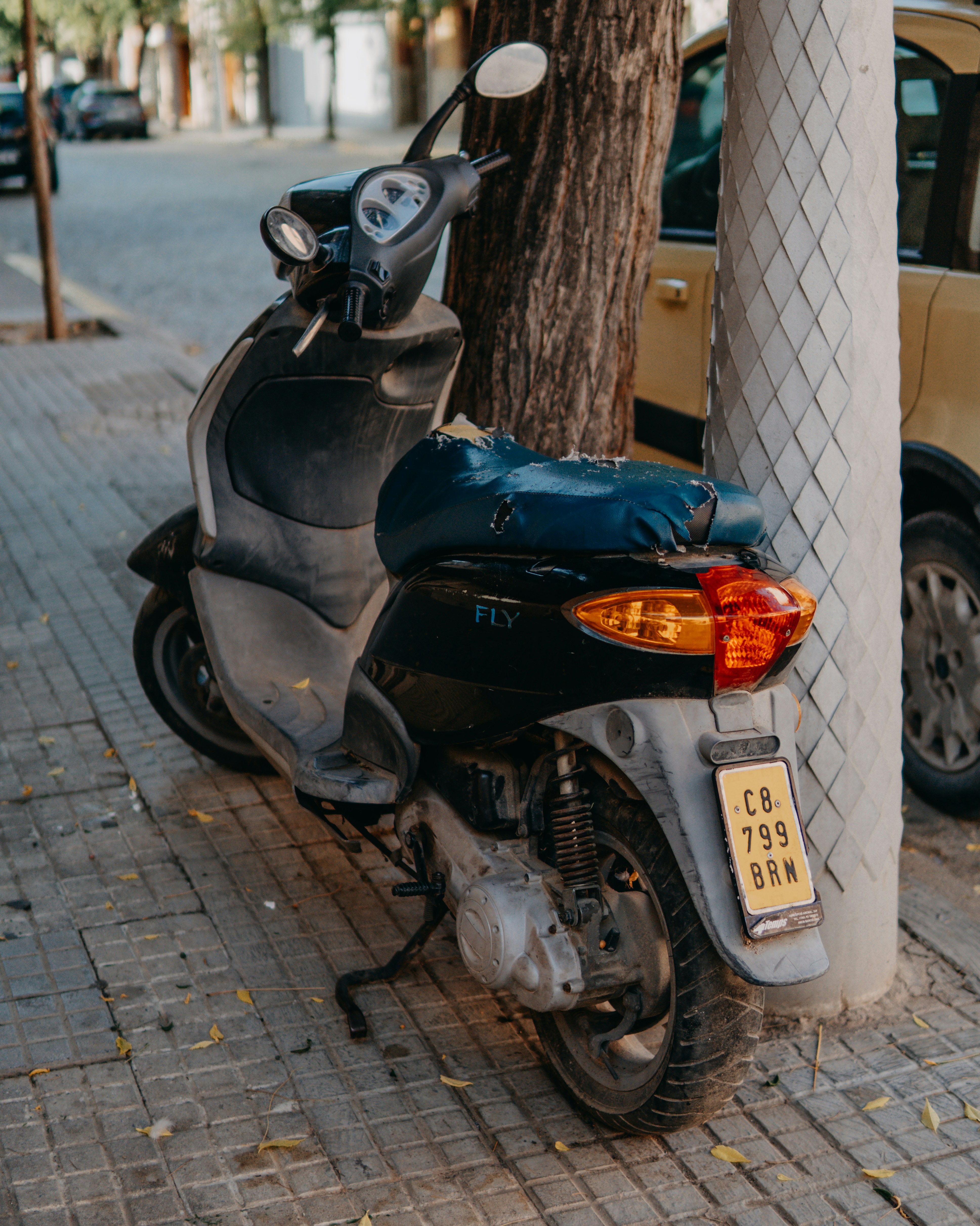 Urban Fly: a weathered scooter by the curb beneath a city tree