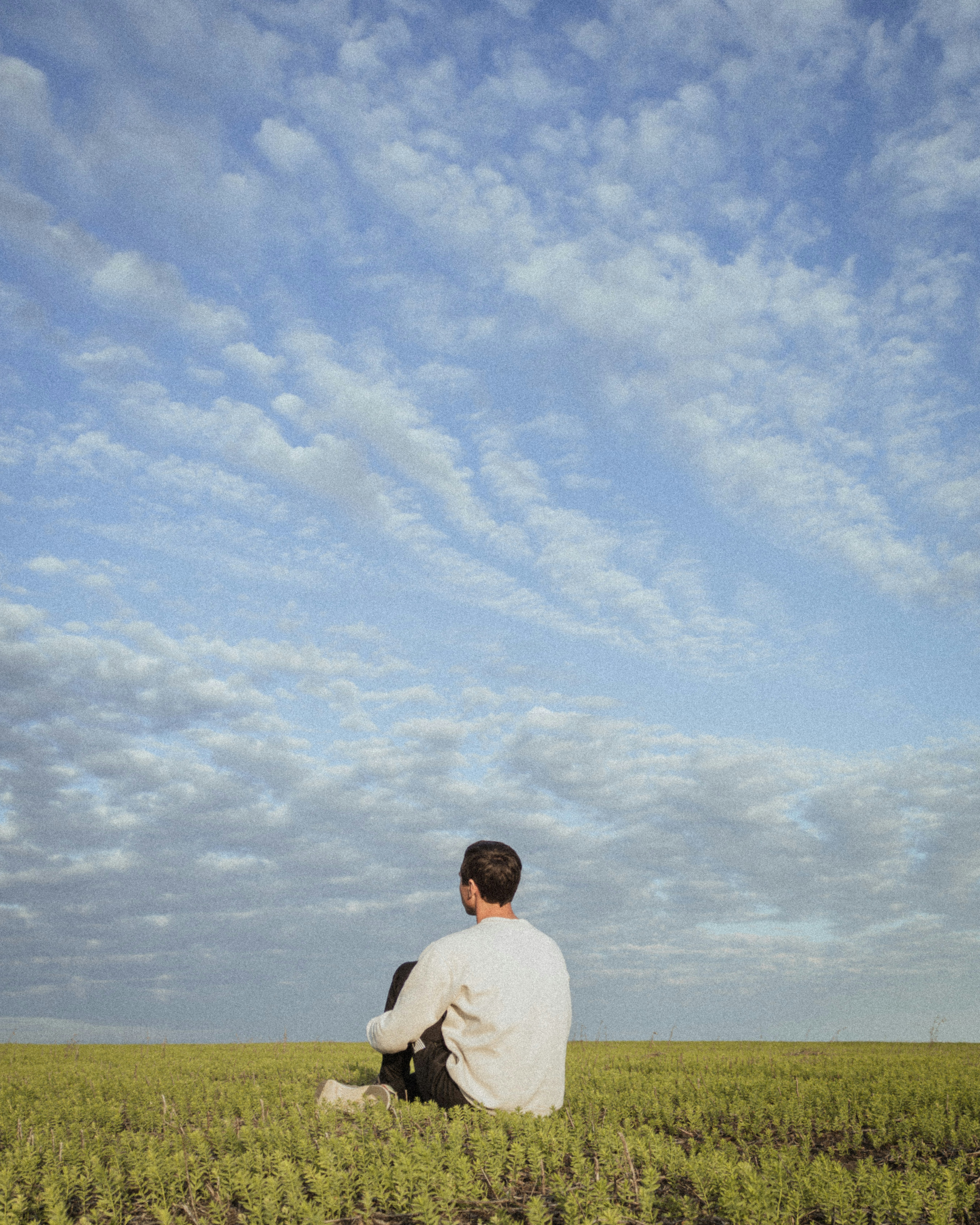Two Against the Field: A Quiet Moment Beneath a Ribbed Sky