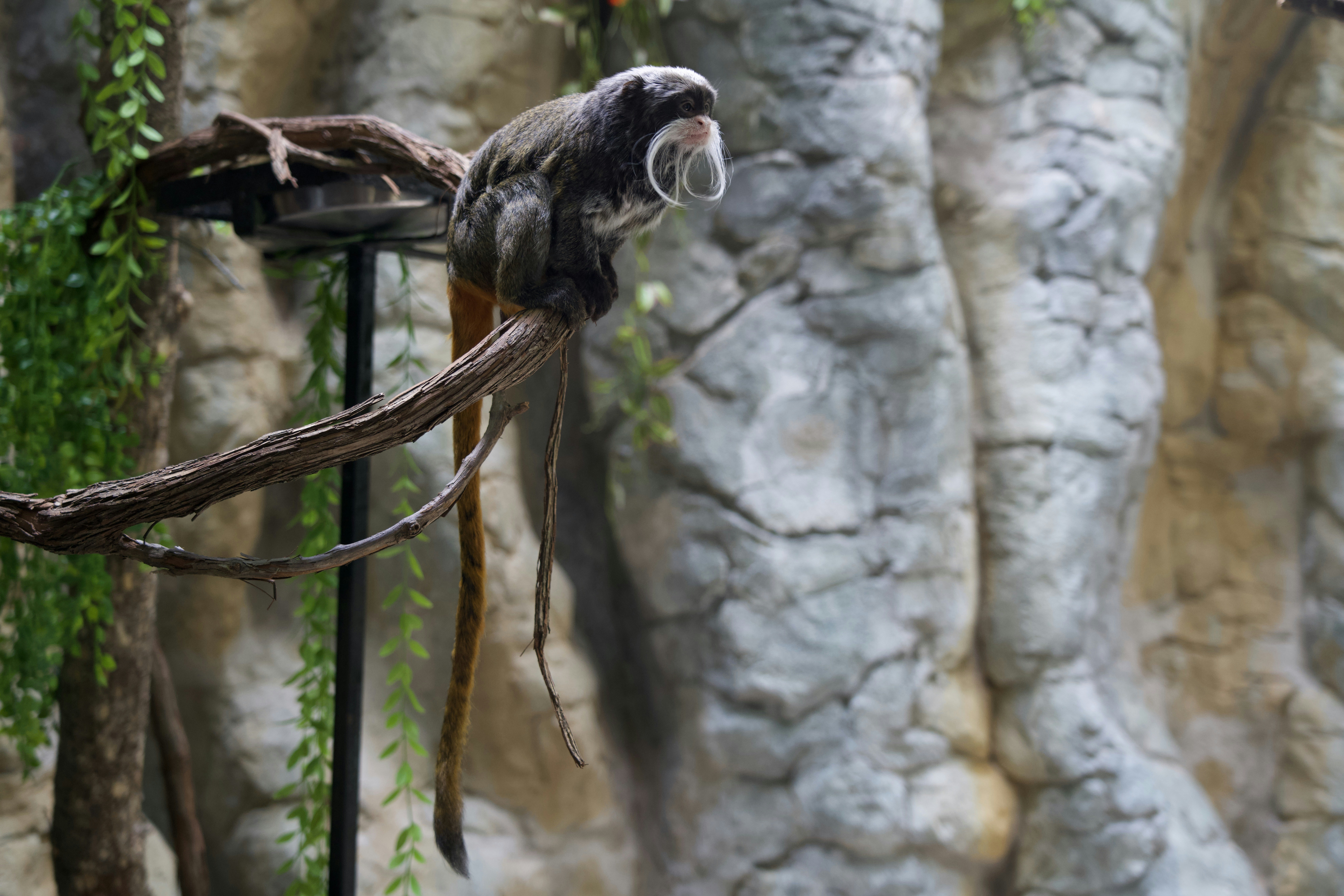 Photo by Chaojie Ni with Sony Alpha 7R IIIA