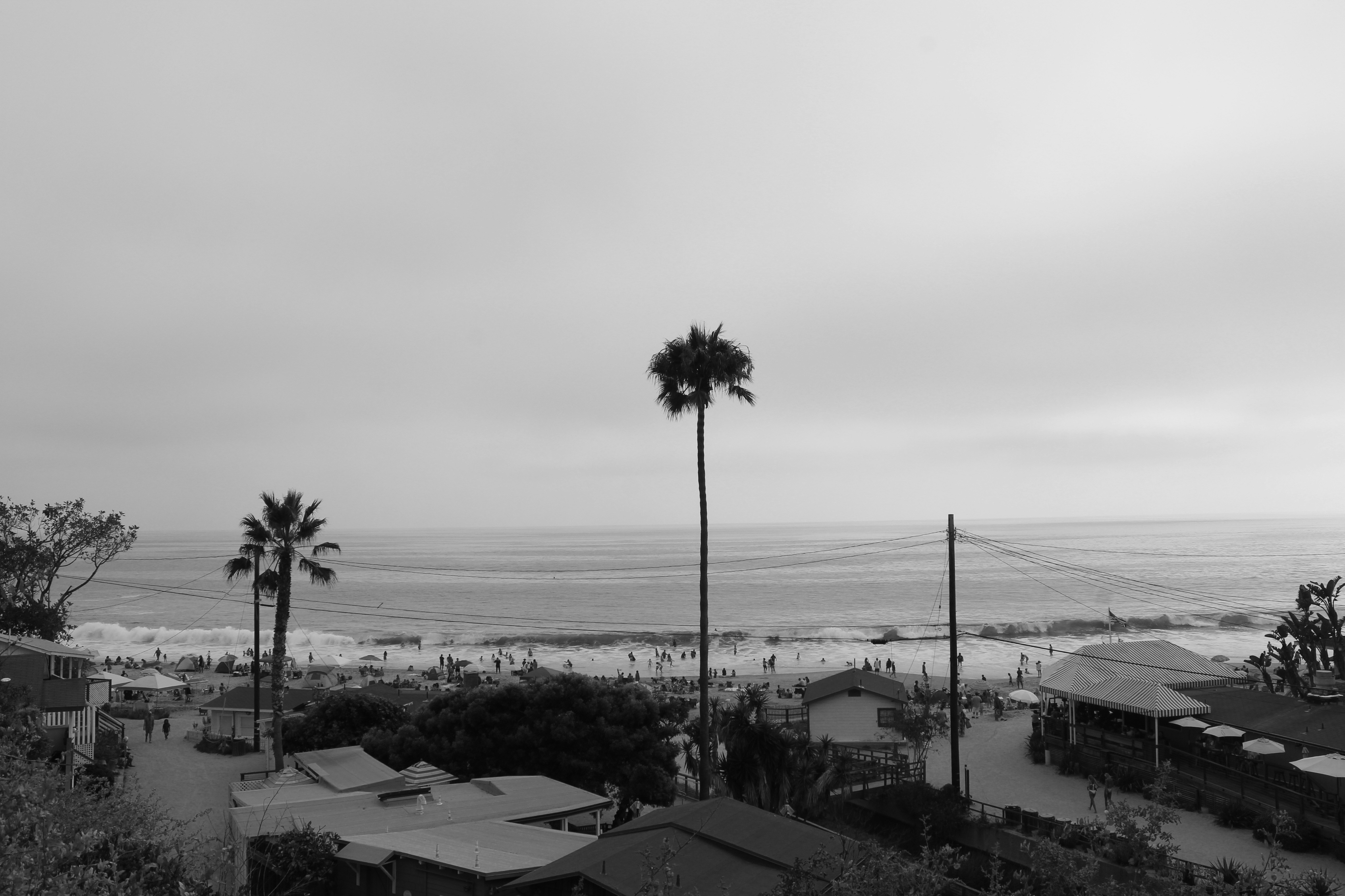 Silhouetted palm trees frame a tranquil beach scene with waves lapping at the shore. The atmosphere is calm and reflective.