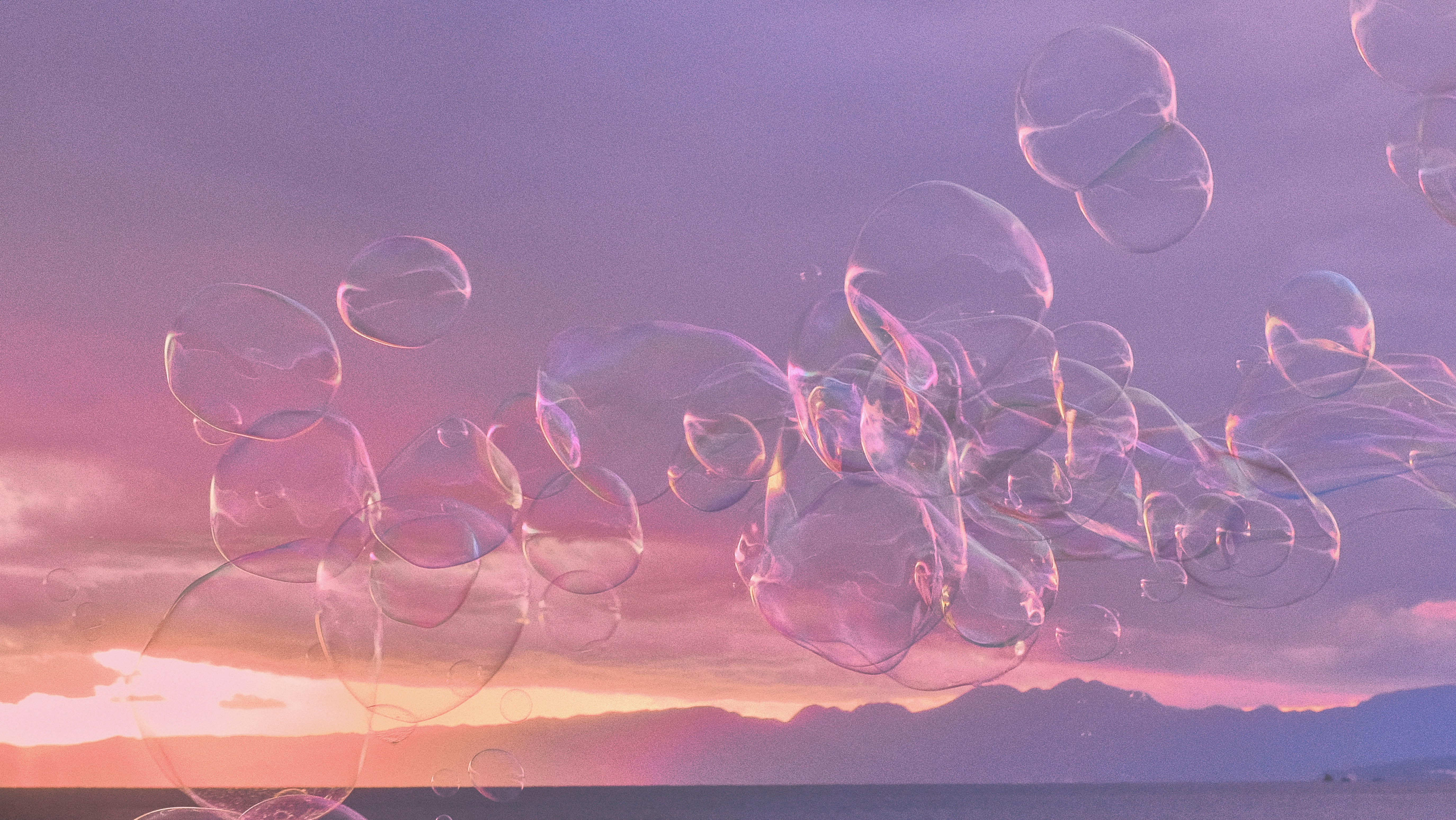 Translucent jellyfish drift gracefully in the ocean against a vibrant sunset sky.