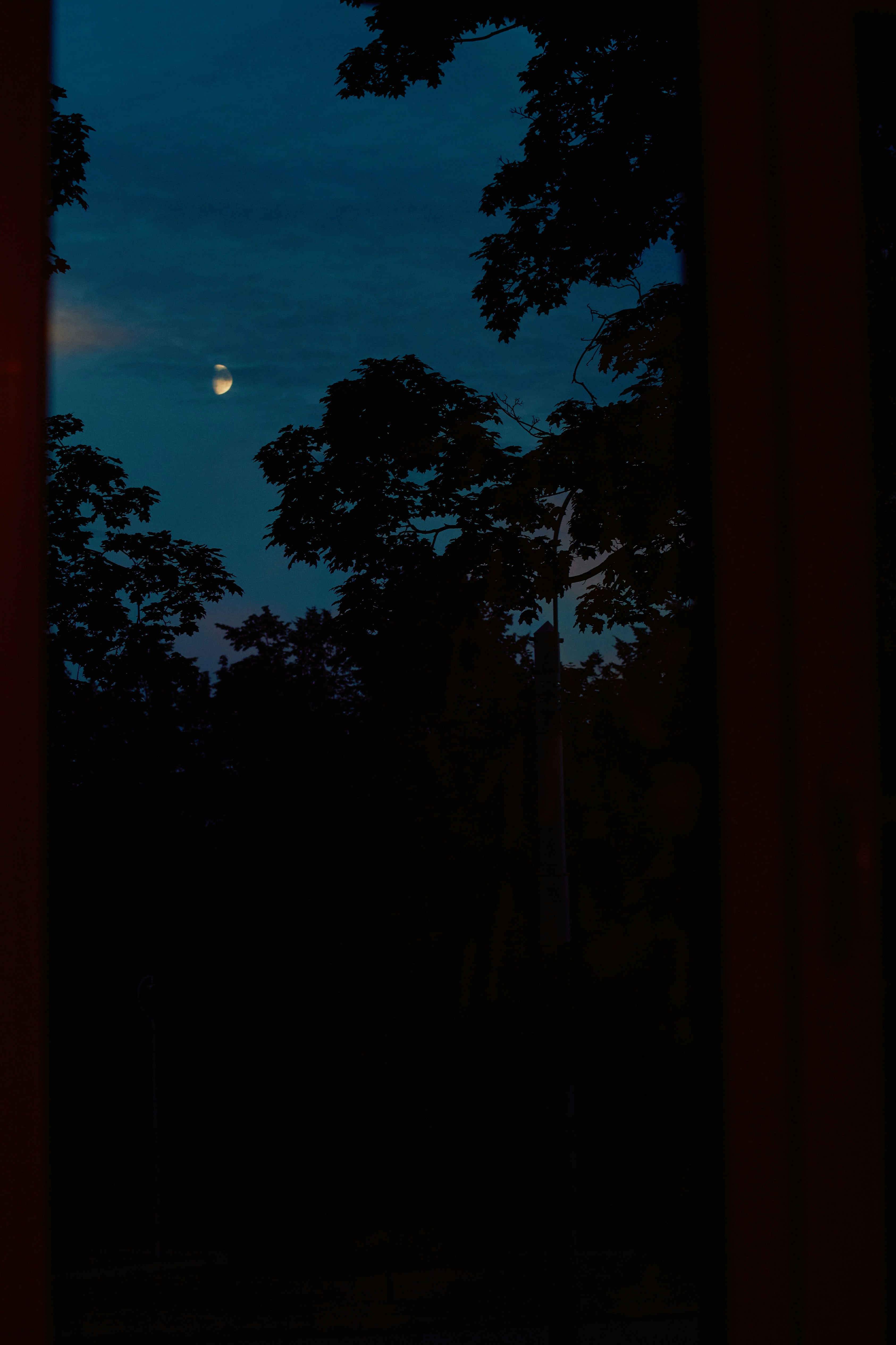 Moonlit silhouette through dark curtains among treetop silhouettes