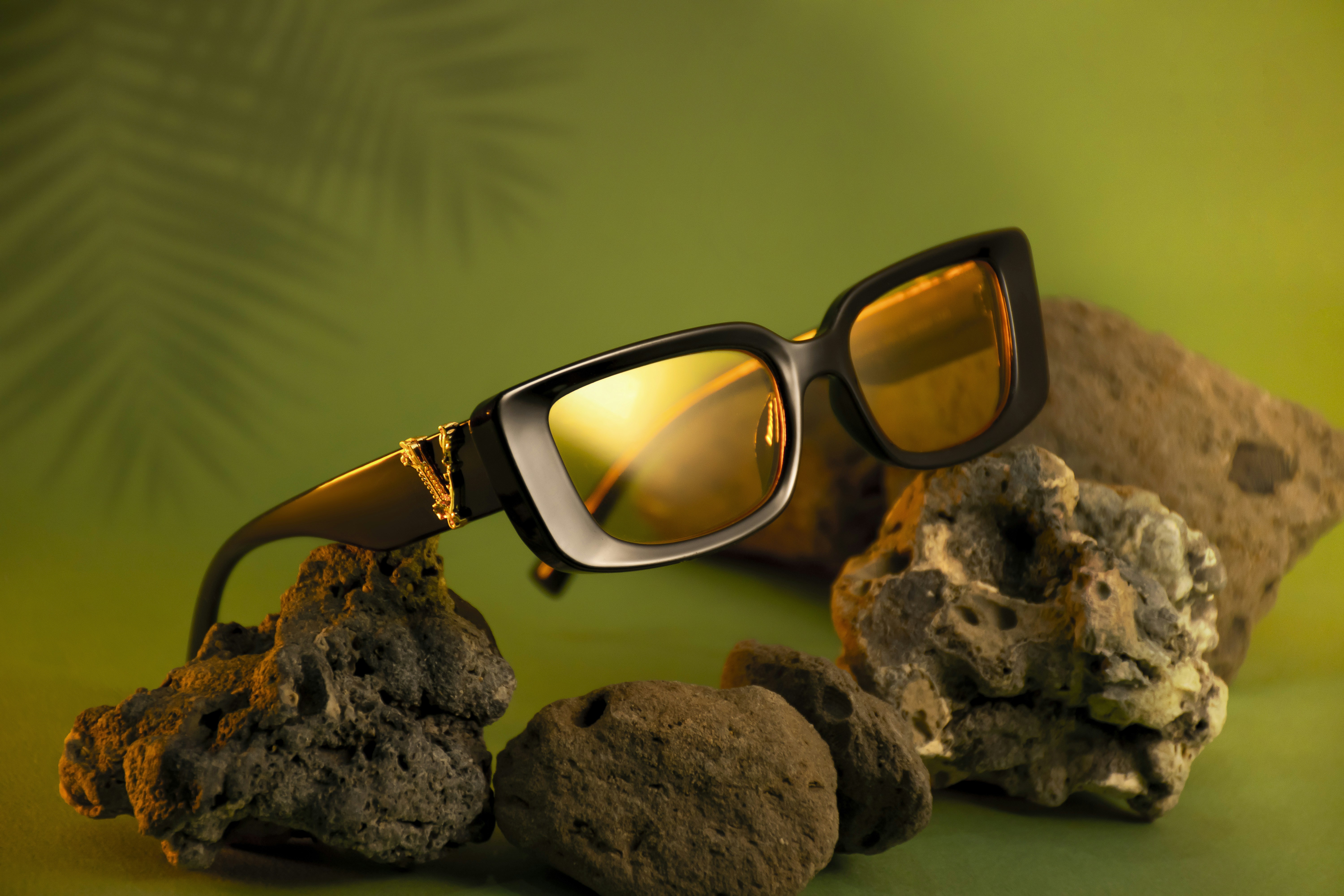 Foto zum Thema Eine Sonnenbrille auf einem Ast – Kostenloses Bild zu ...